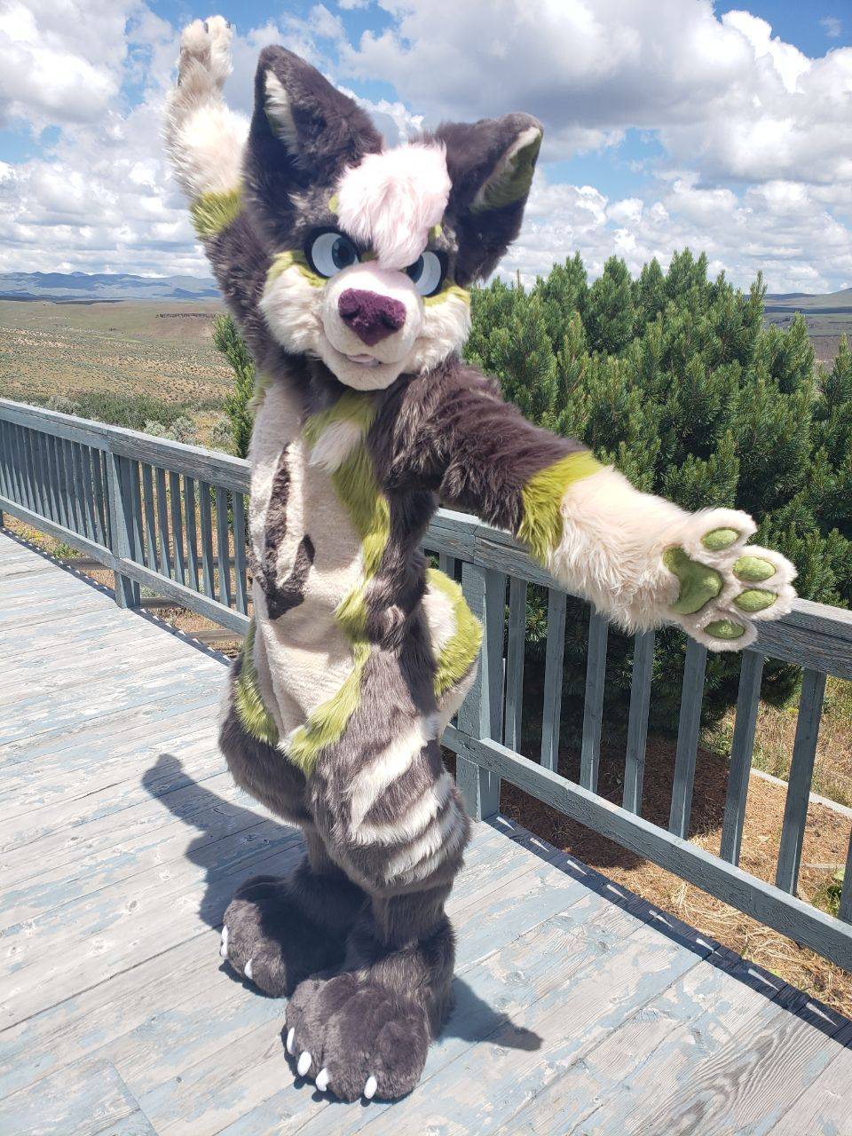 Heyo from Benn, aka me! Suit is by high desert fursuits | Scrolller