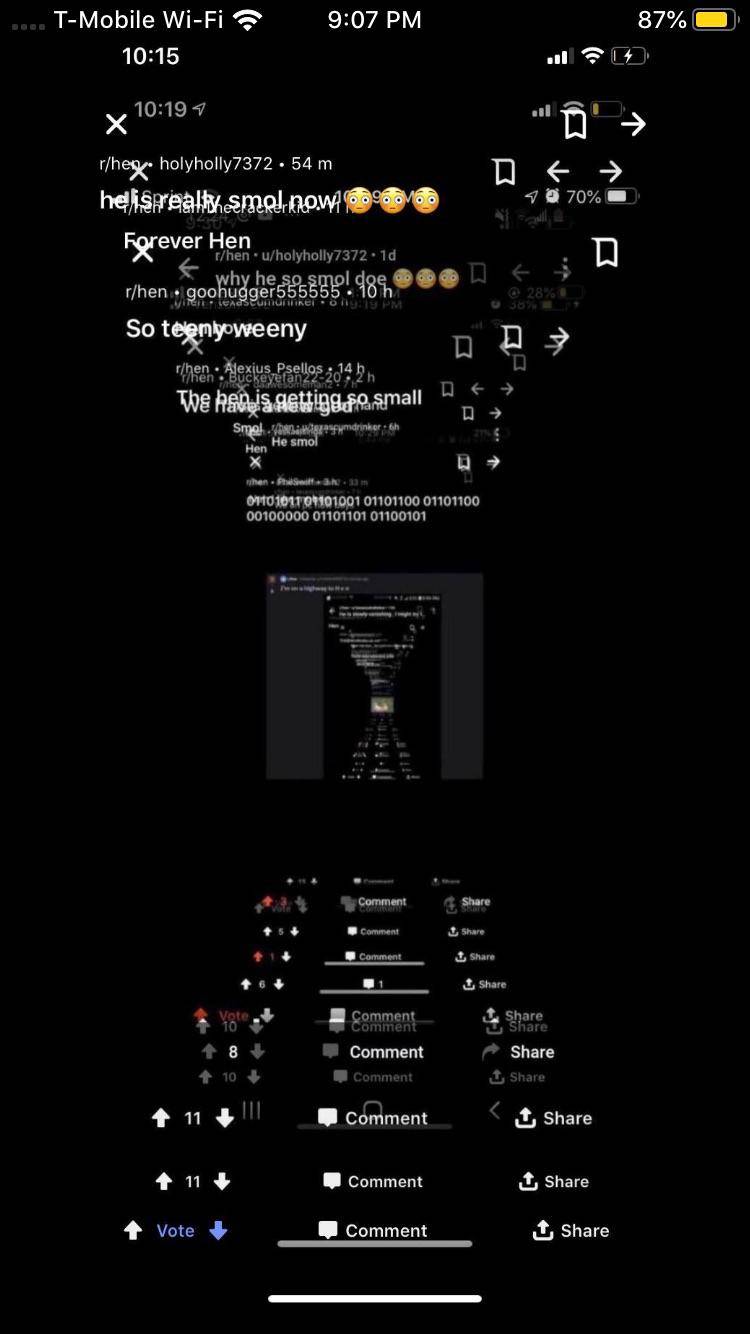 Hi, hello, and goodbye to the hen! We’re so close! | Scrolller