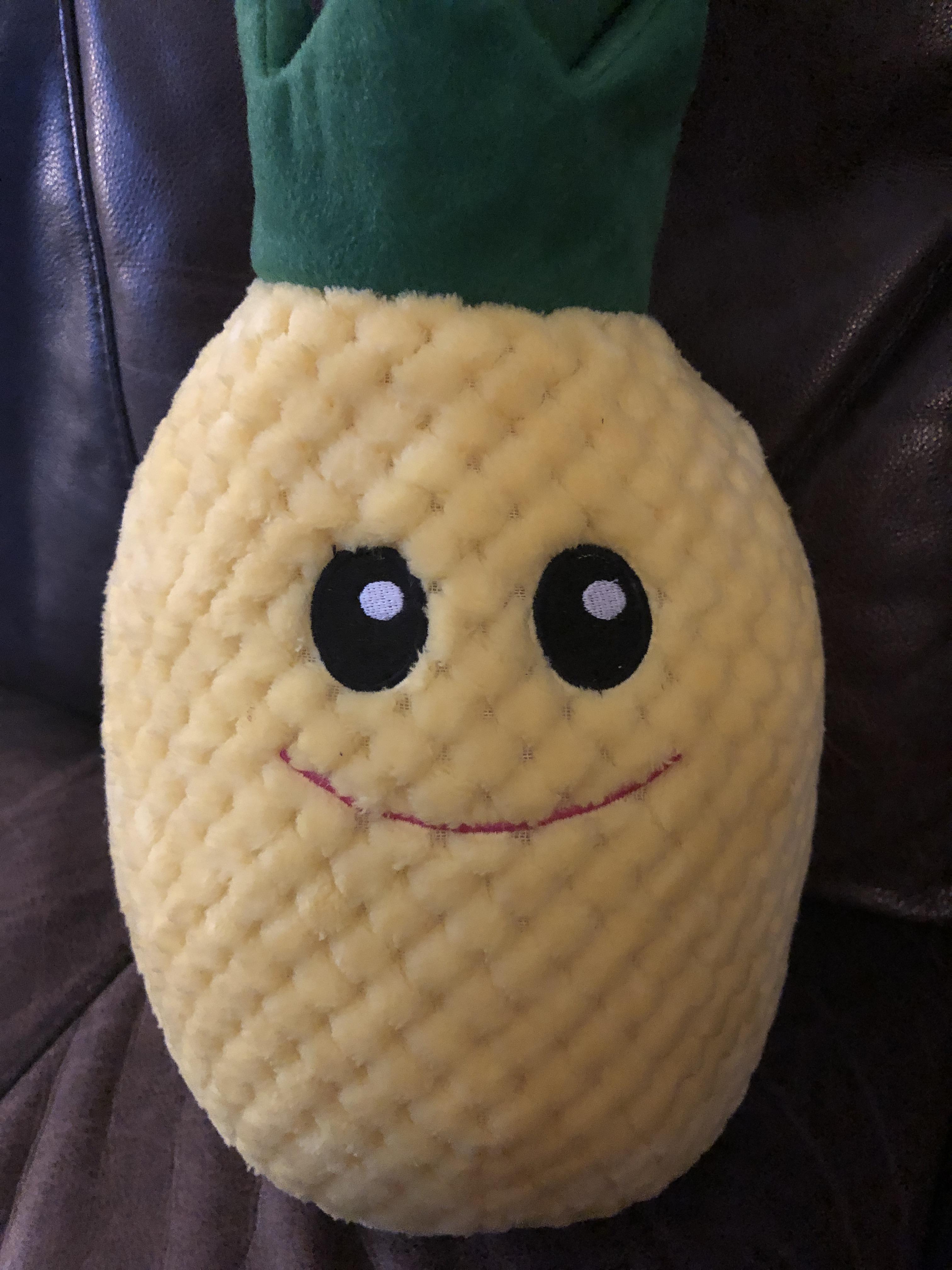 Hi, I’m Penny the Pineapple | Scrolller