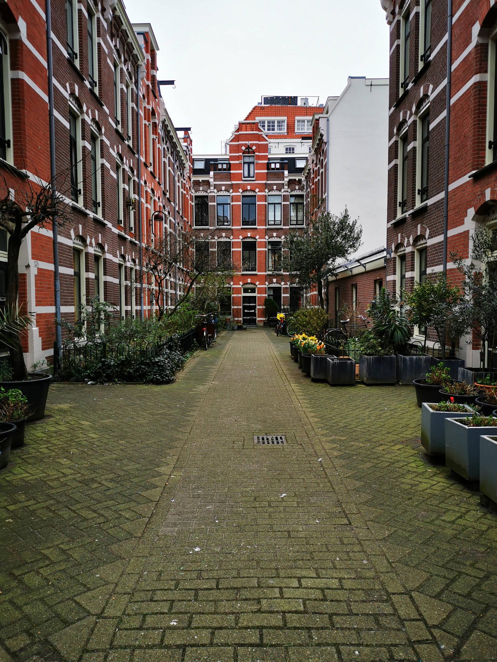 Hidden gems of Amsterdam | Scrolller