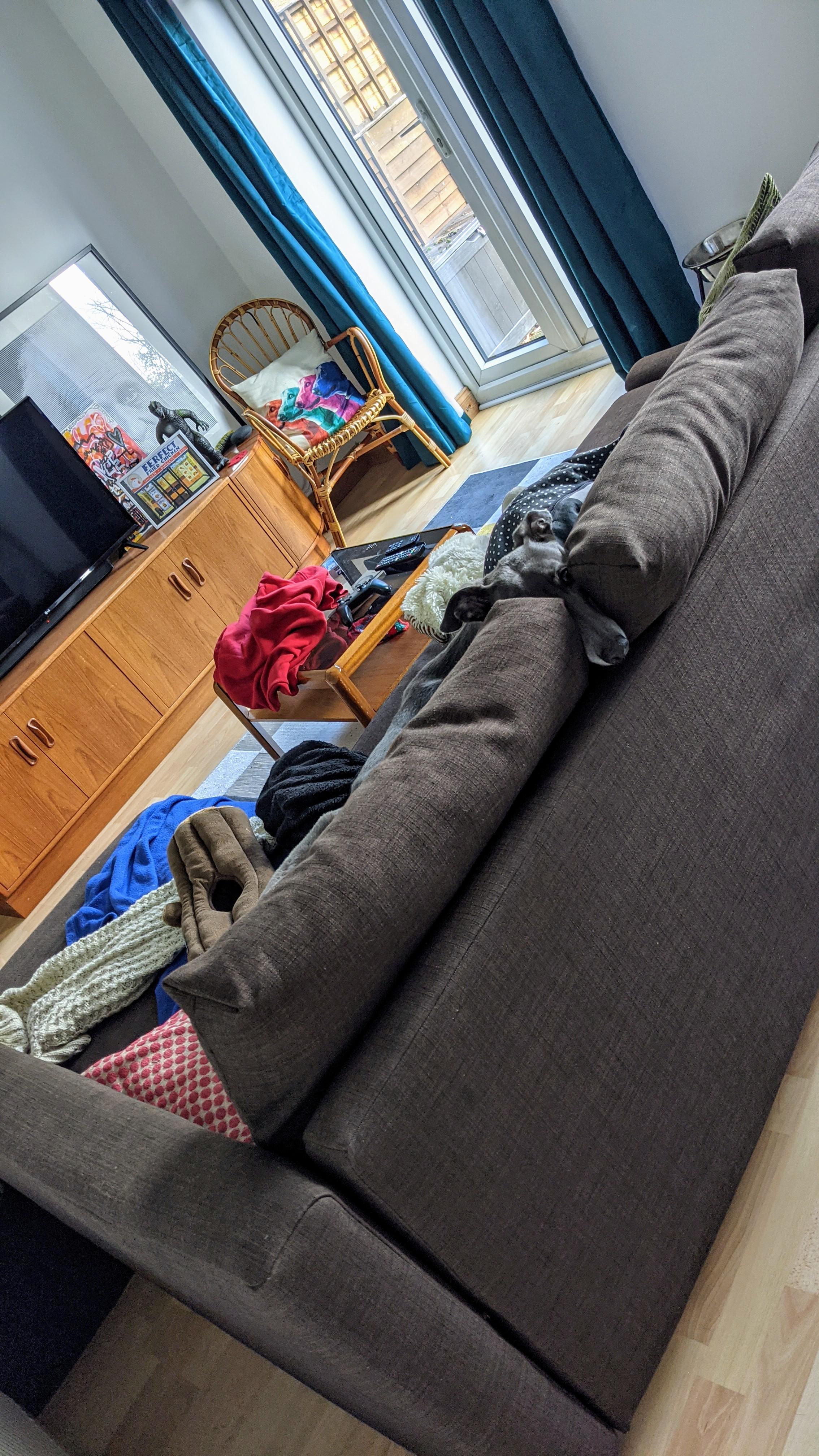 Hide and seek 👀 | Scrolller