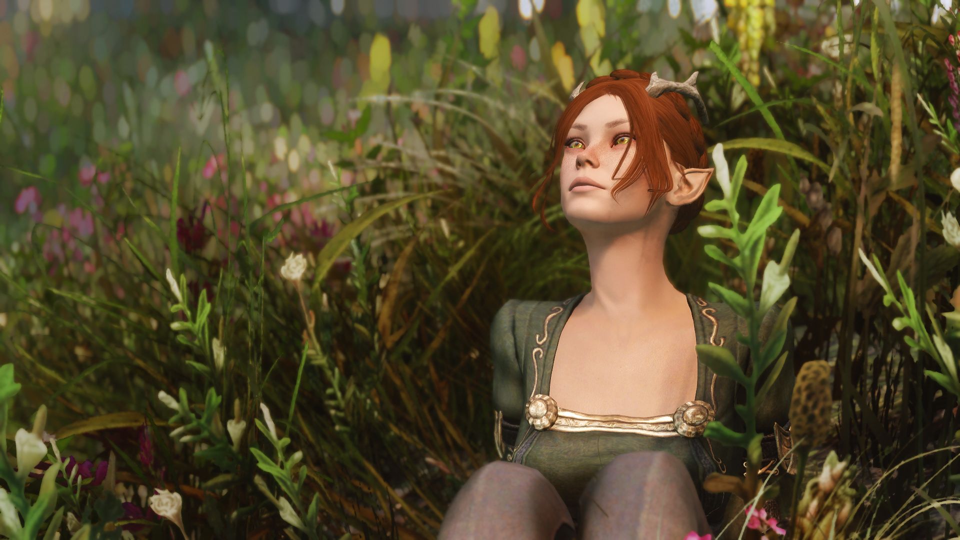 Hiding in the Grass | Scrolller