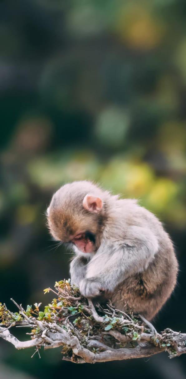 High concentration...💕 | Scrolller