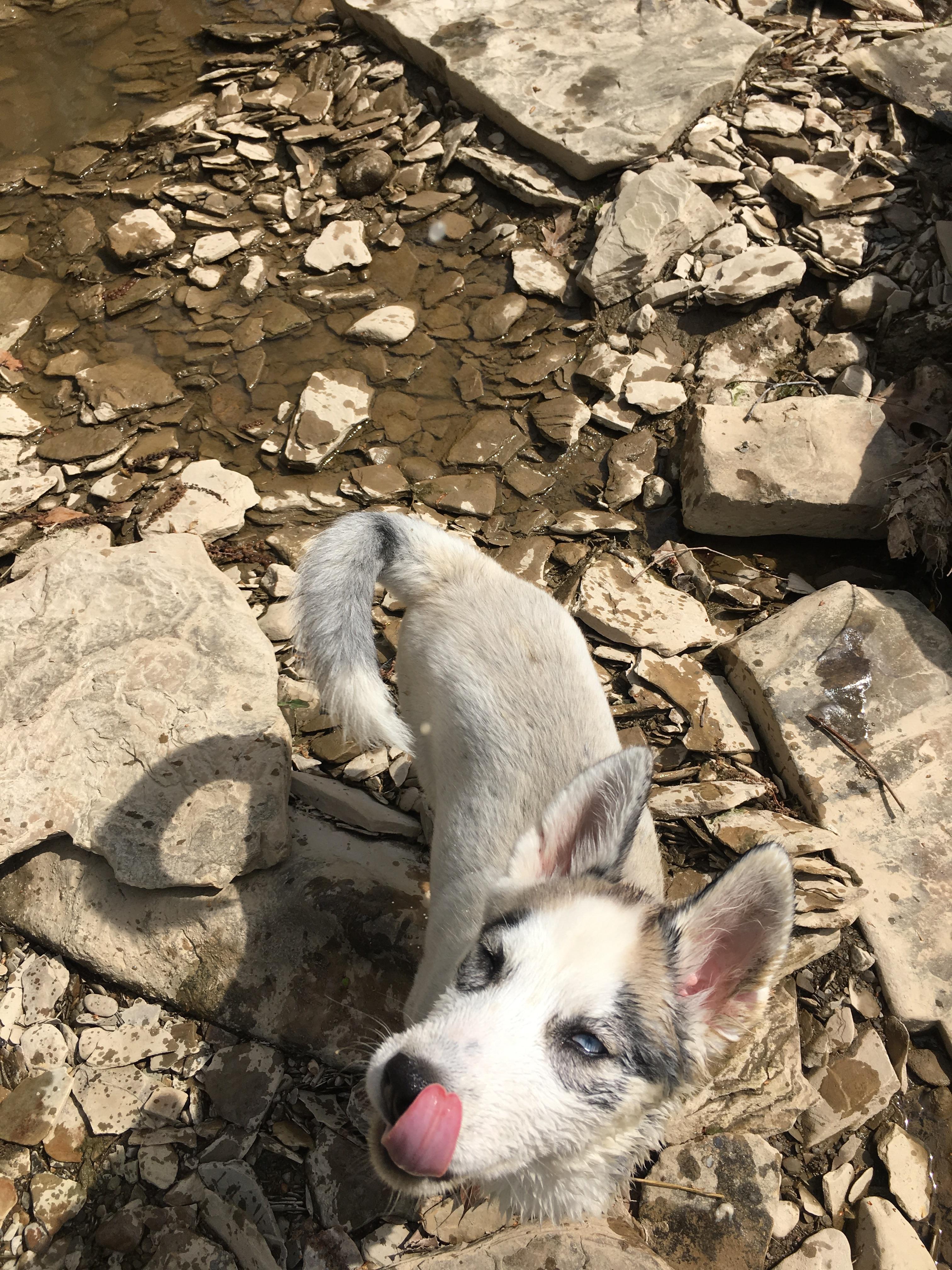 Hiking mlem | Scrolller