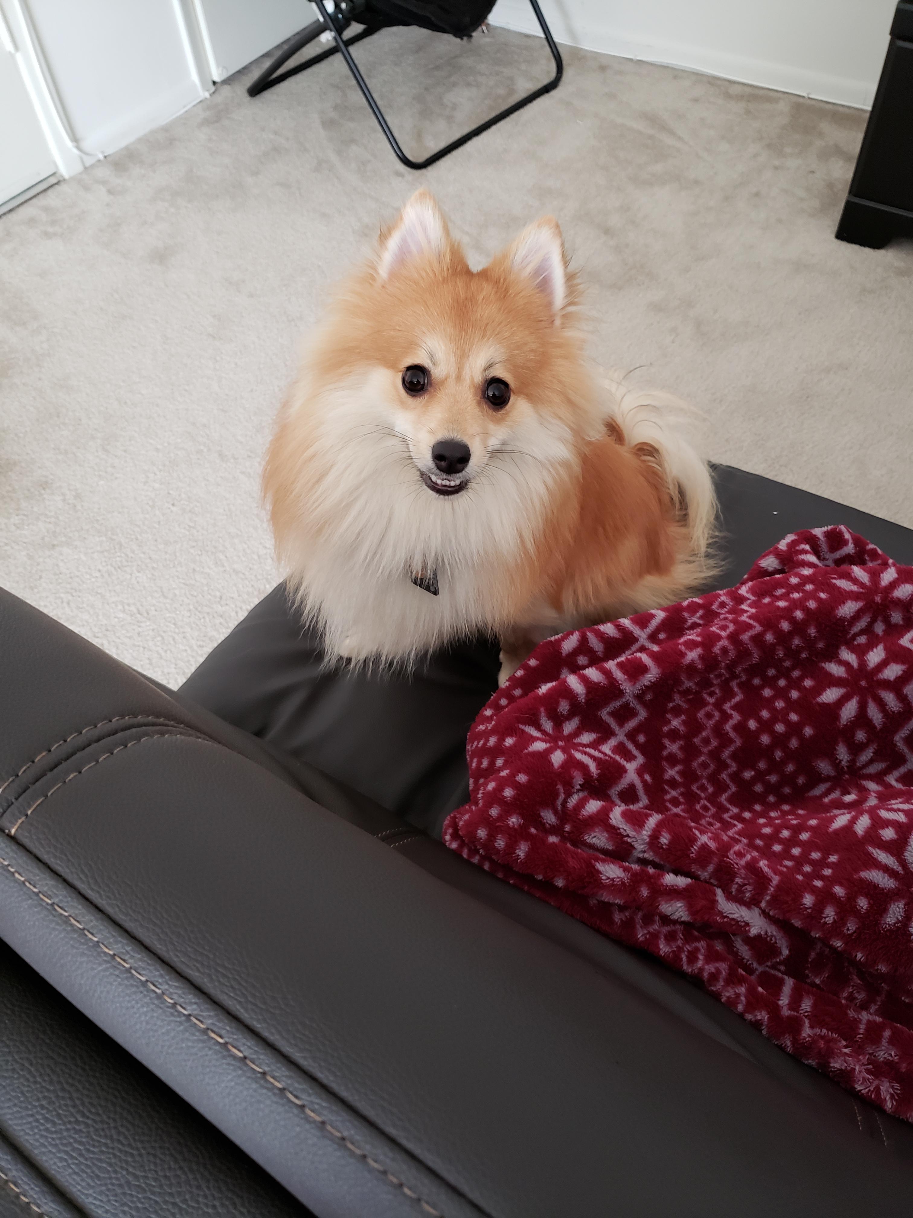 His eyebrows kill me 😂 | Scrolller