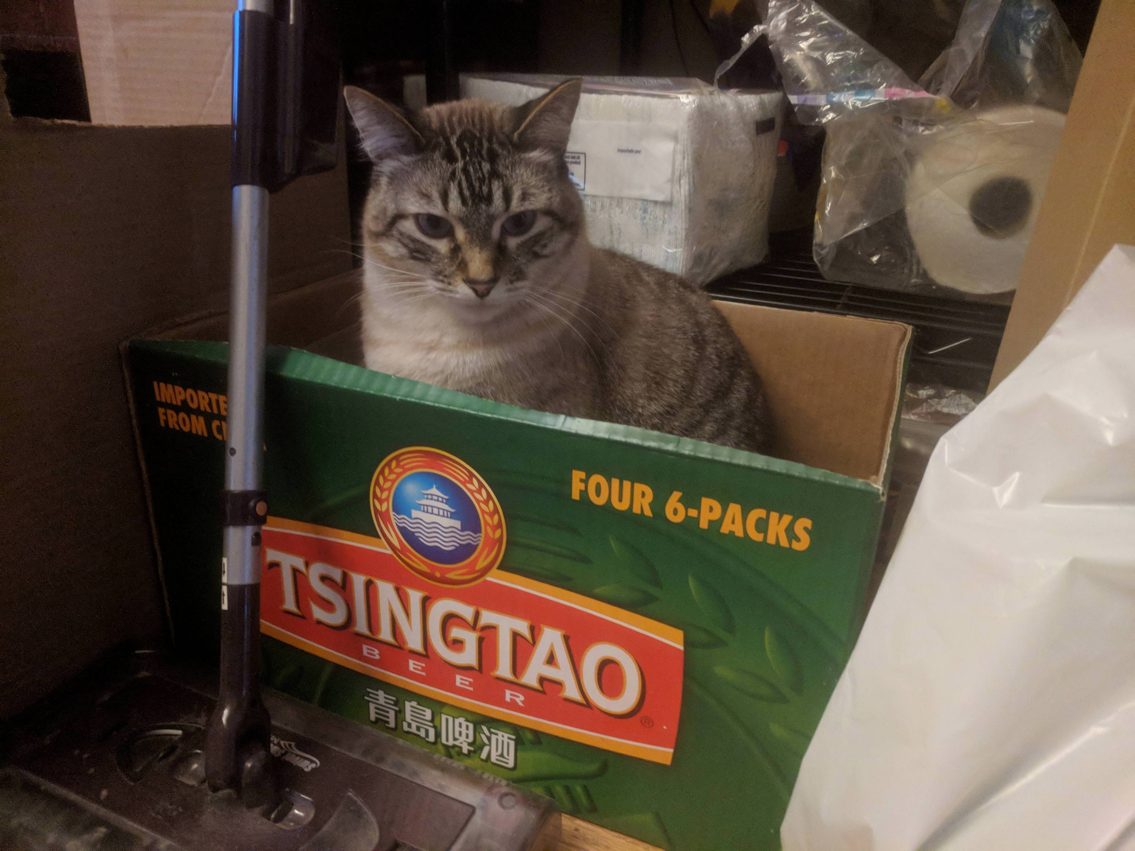 His favorite box. | Scrolller