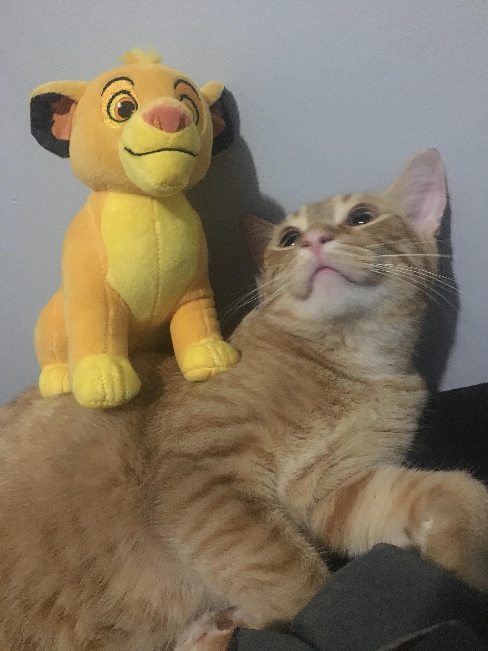 His hero. | Scrolller