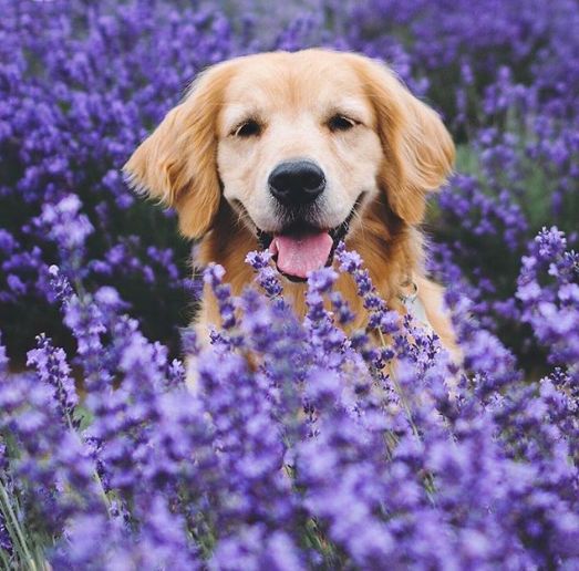 His modeling debut | Scrolller