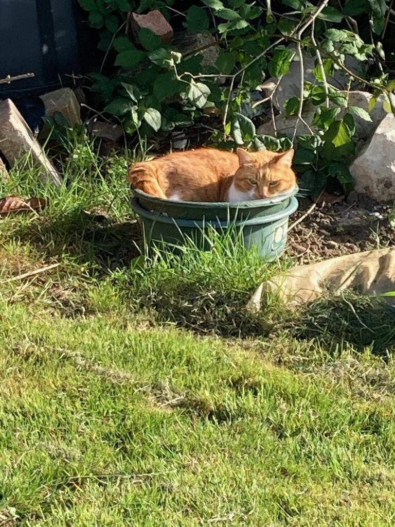 His name is Fred :^) | Scrolller