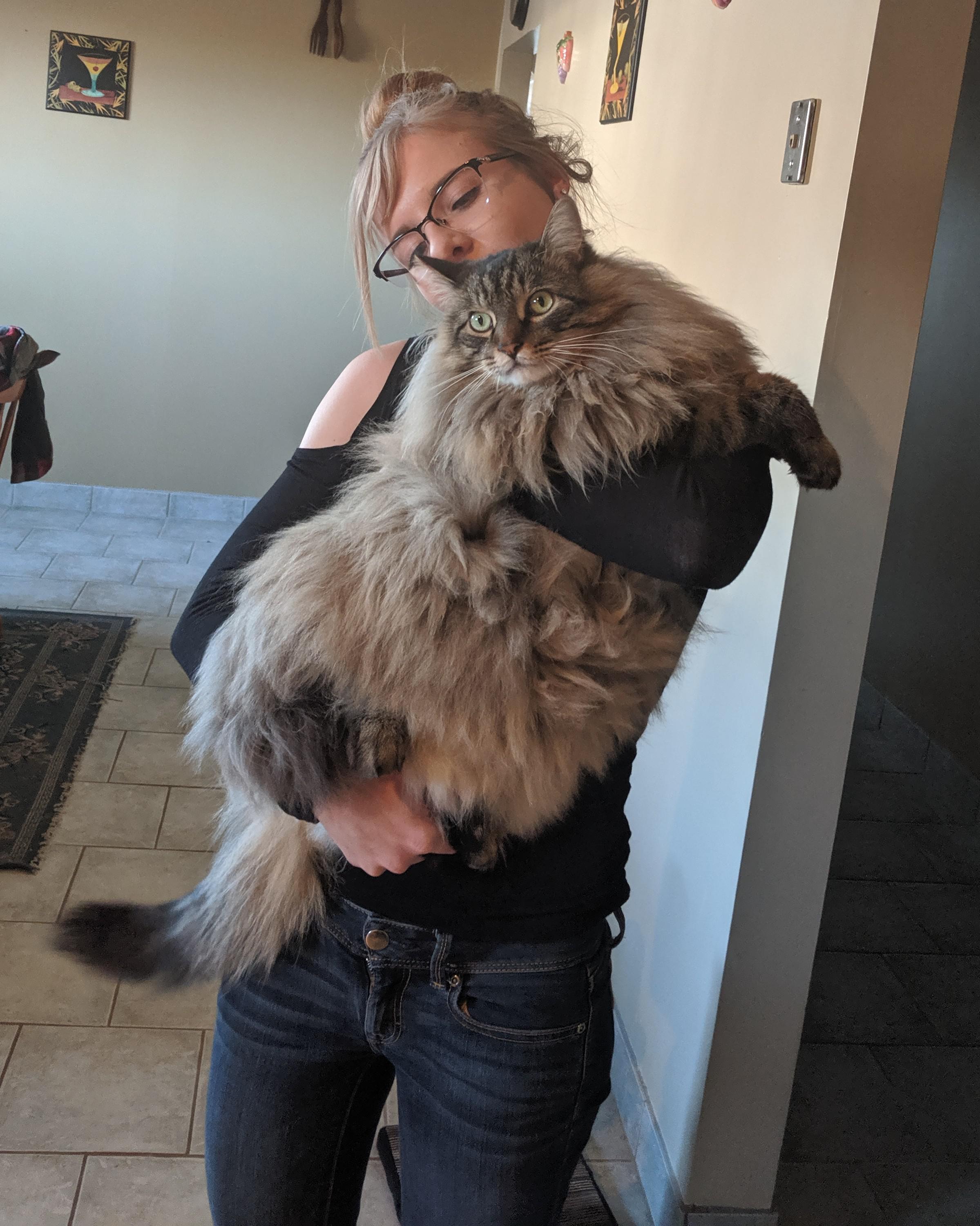 AbSoLuTe UnIt | Scrolller