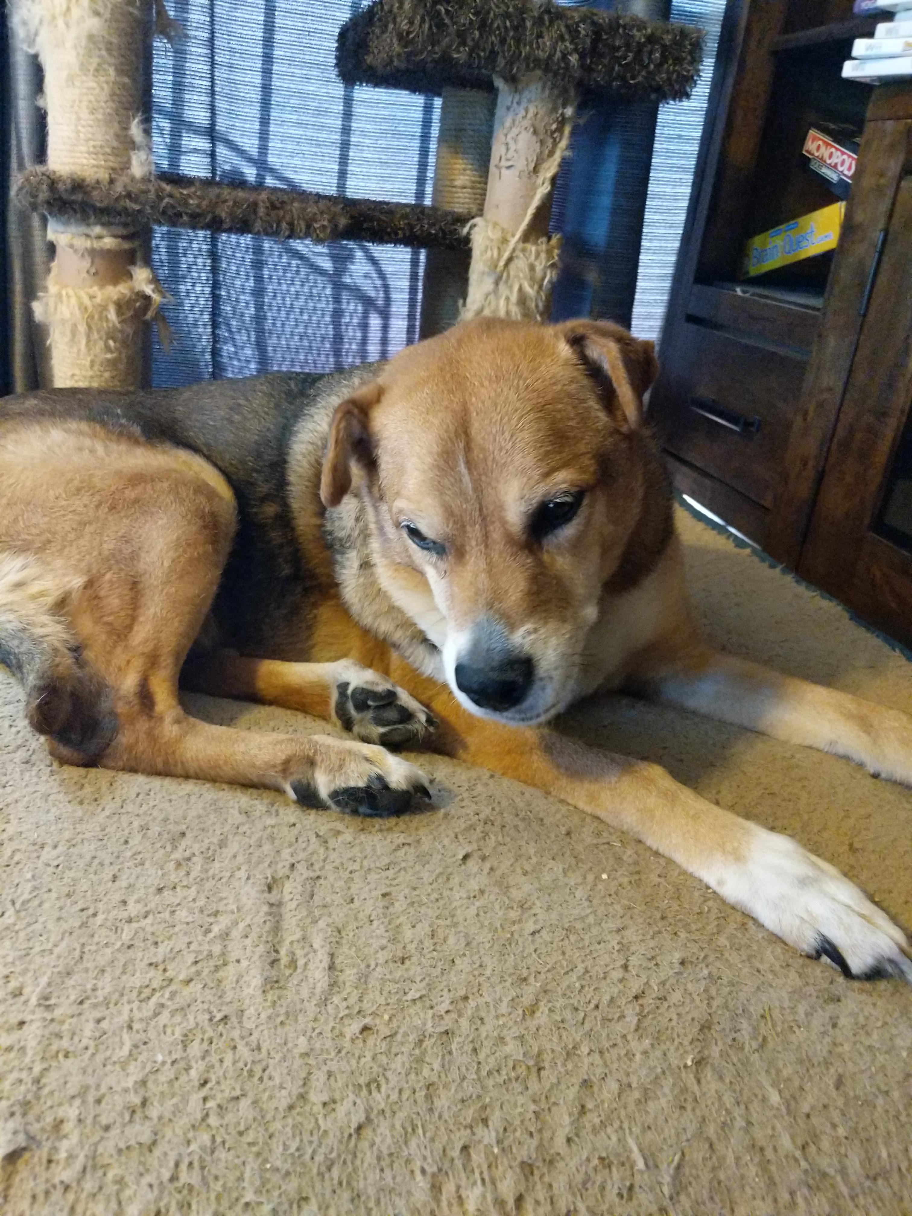 His name is Simon | Scrolller