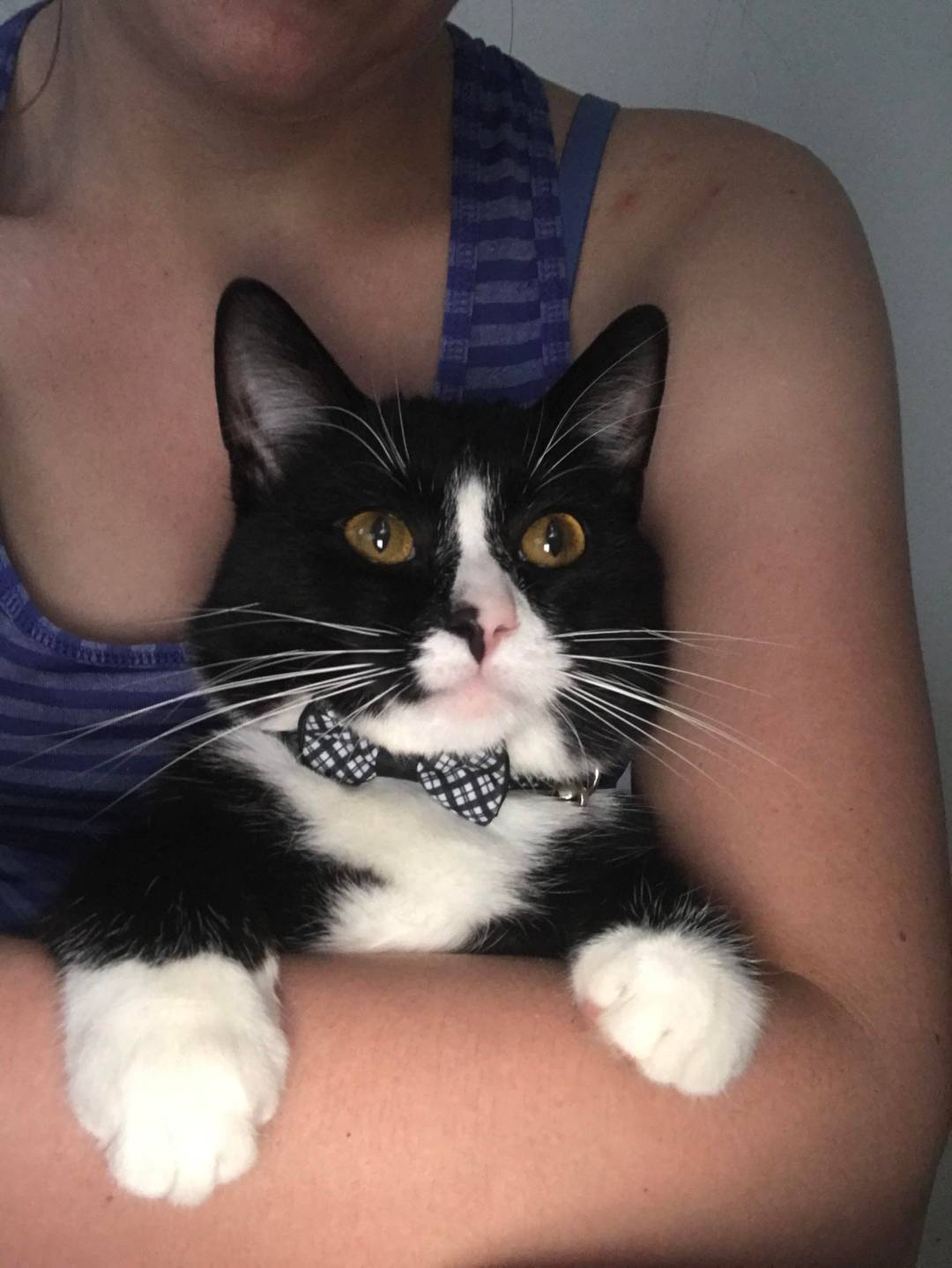 His tux is finally complete with a bow tie! | Scrolller
