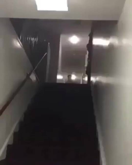 HMB while I slide down the stairs | Scrolller