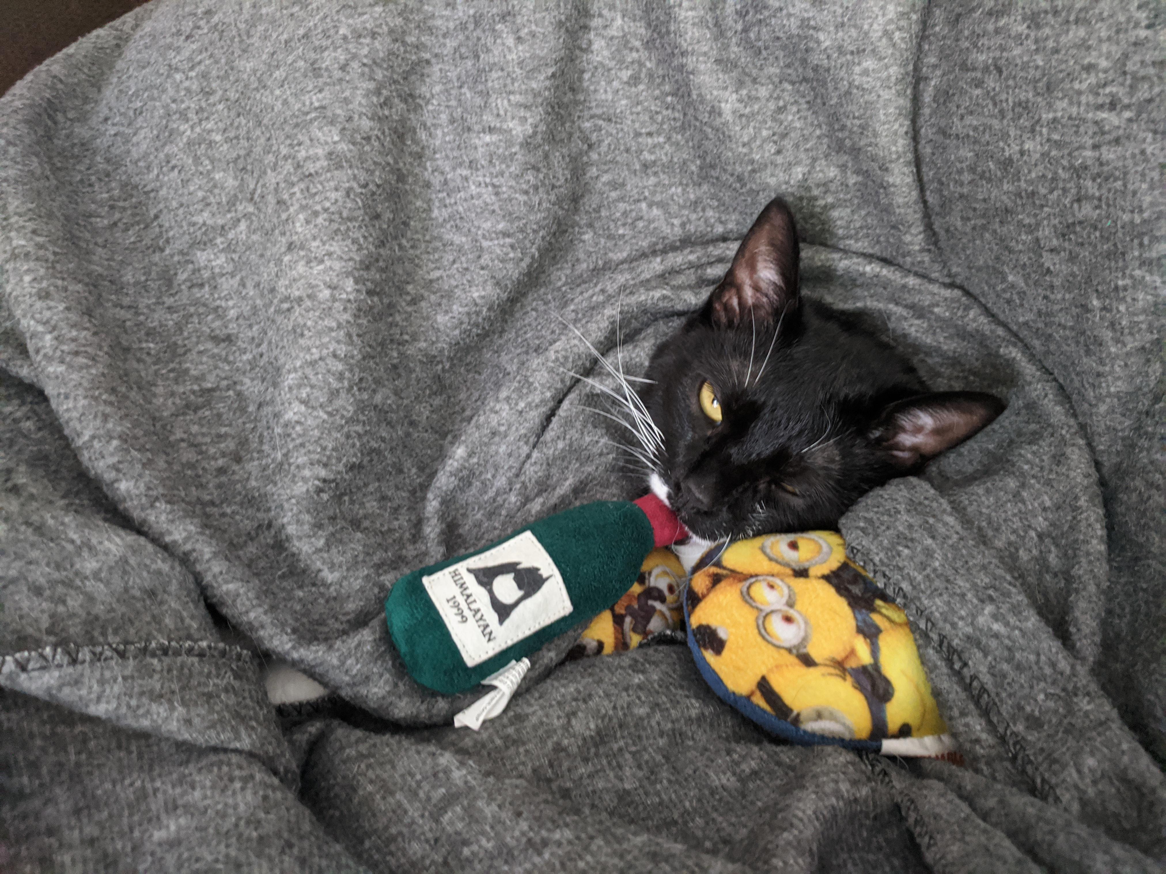 HMC while I get a little drunk | Scrolller