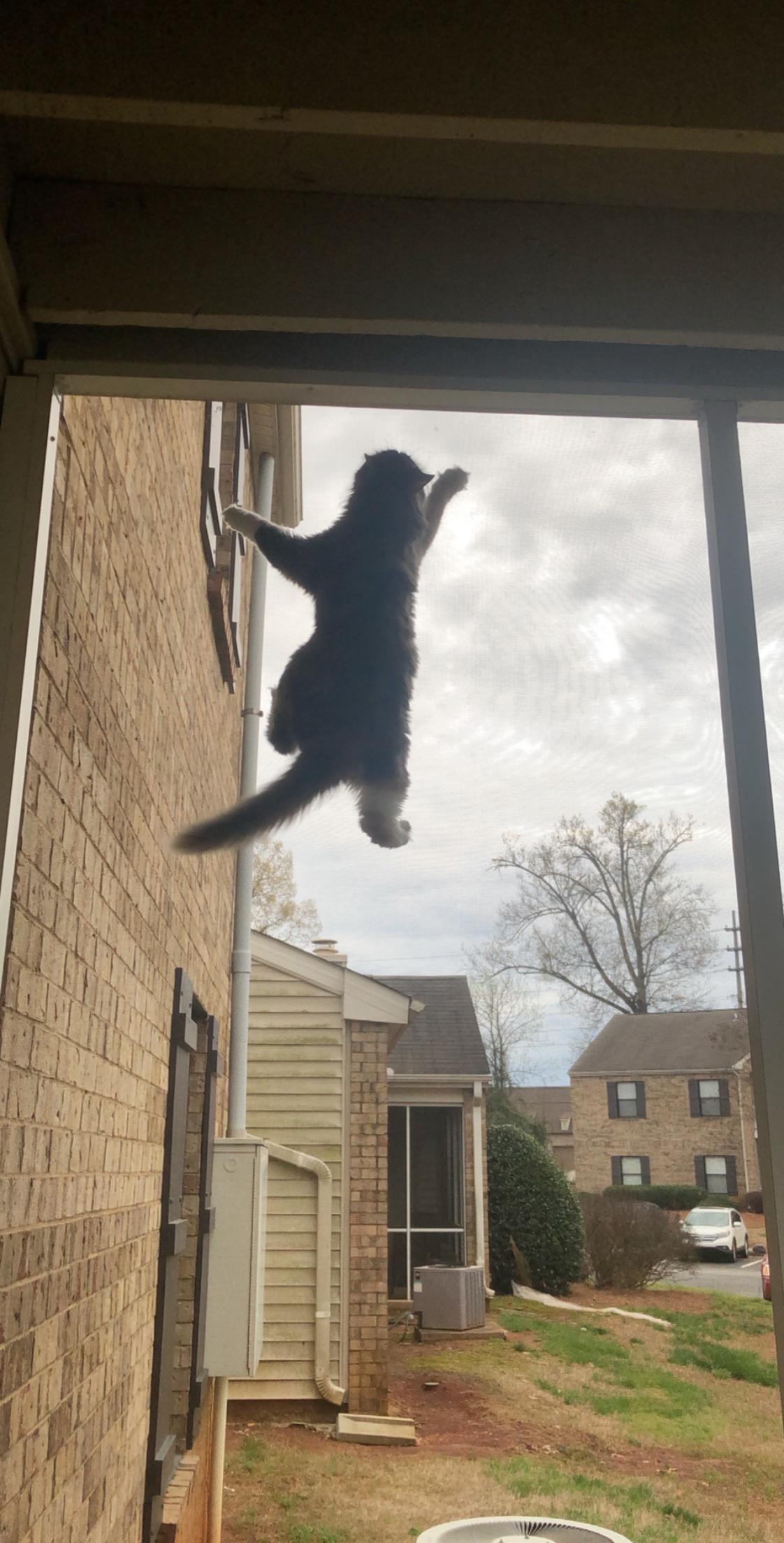 HMC while I scale this screen | Scrolller