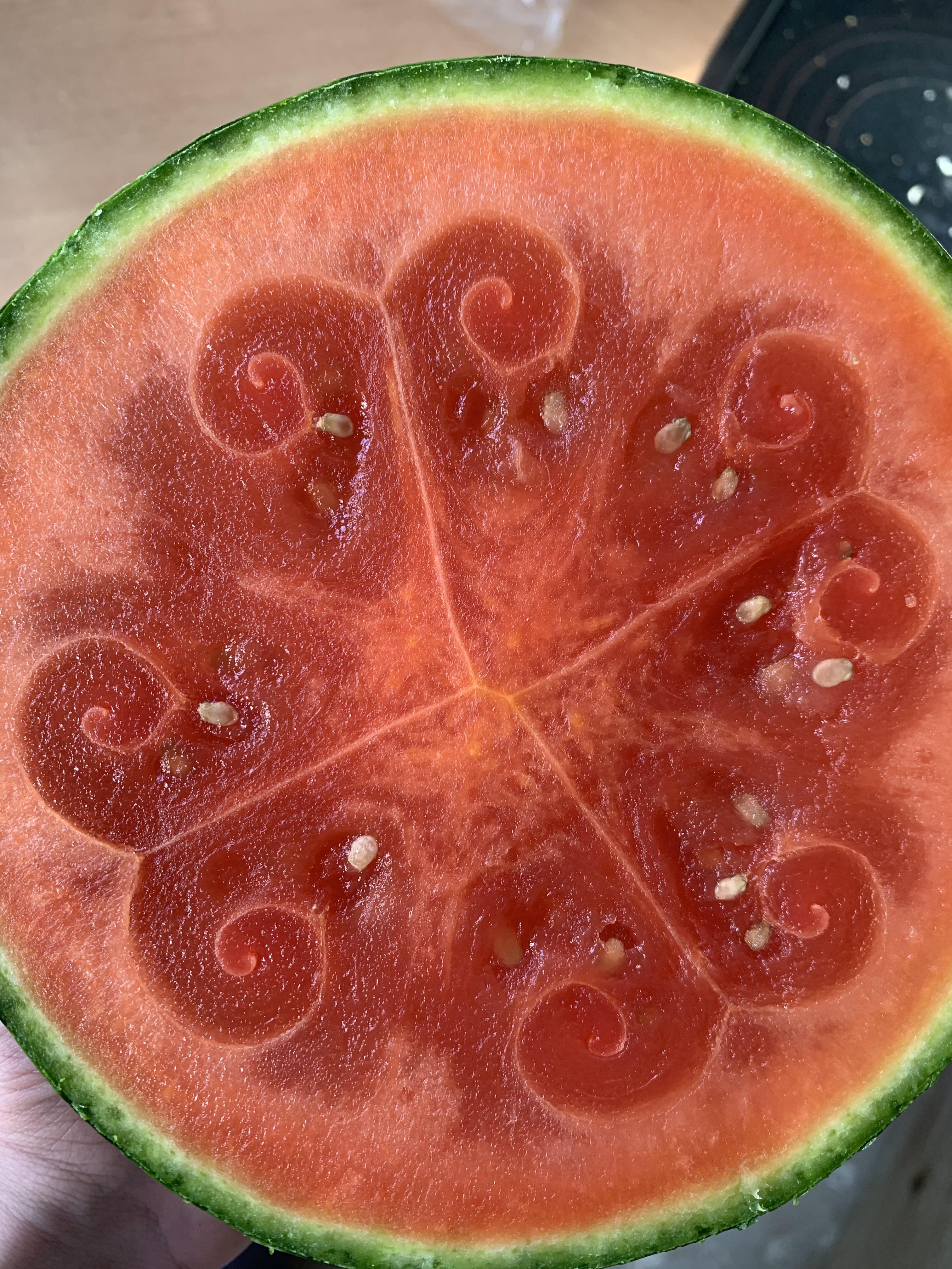 Hmong Melon. | Scrolller