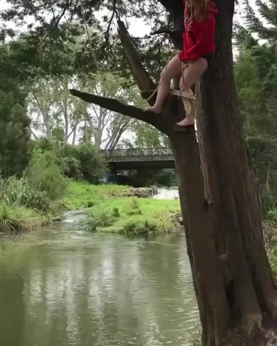 hold my beer while I swing | Scrolller