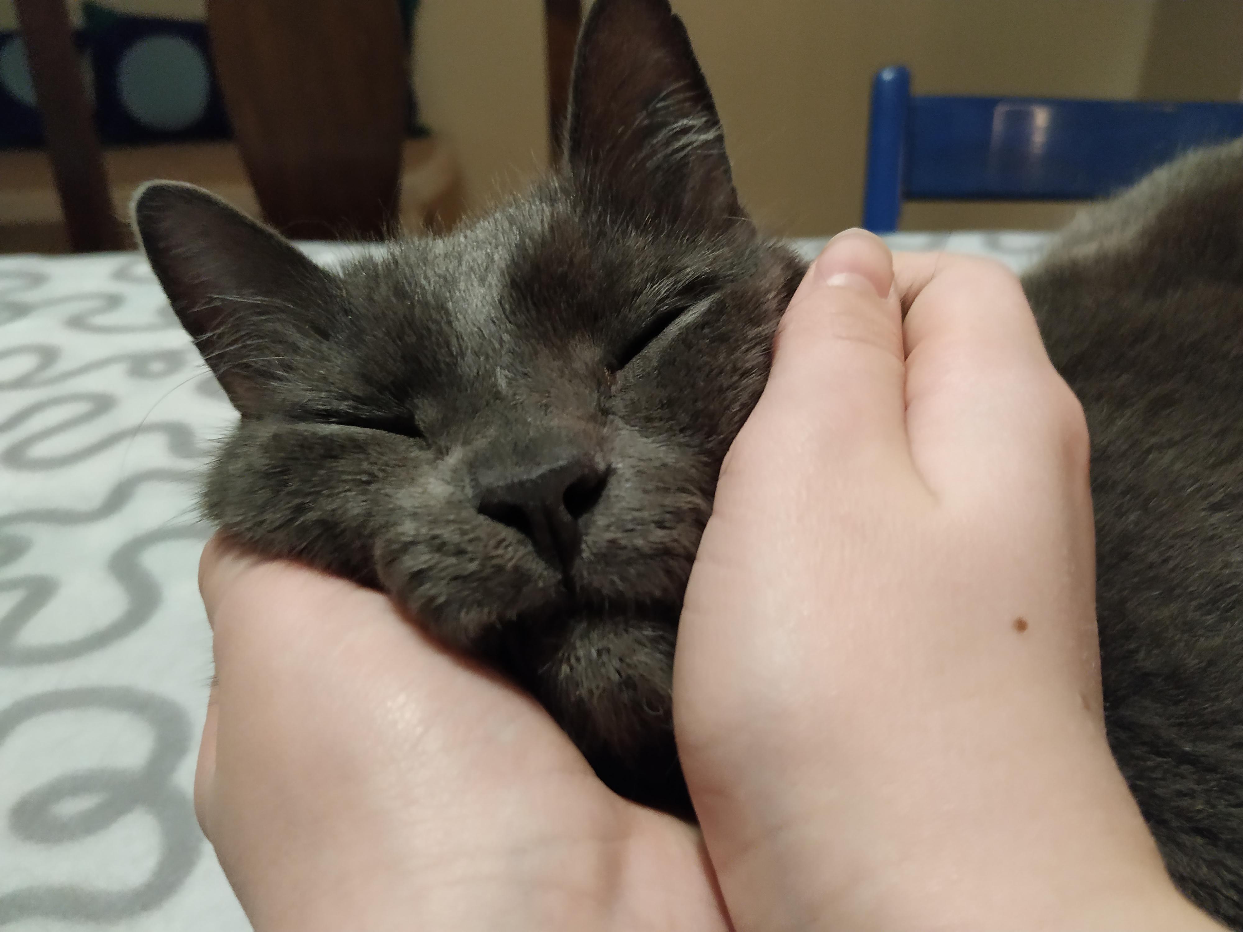 Holding him... | Scrolller