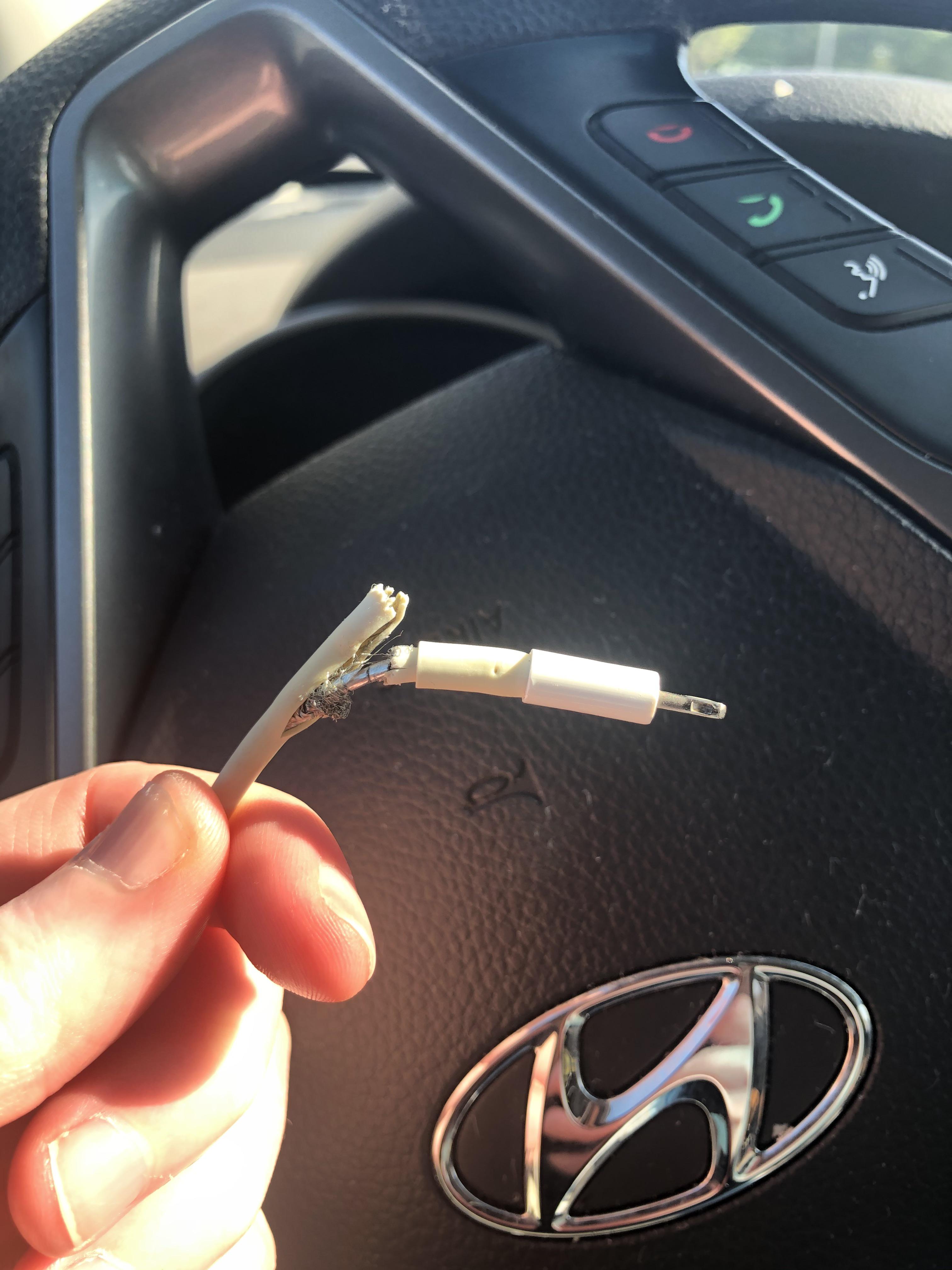 Holding on for dear life... | Scrolller