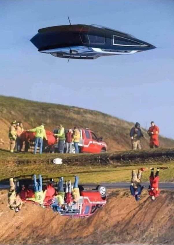 Holy Mackerel! | Scrolller