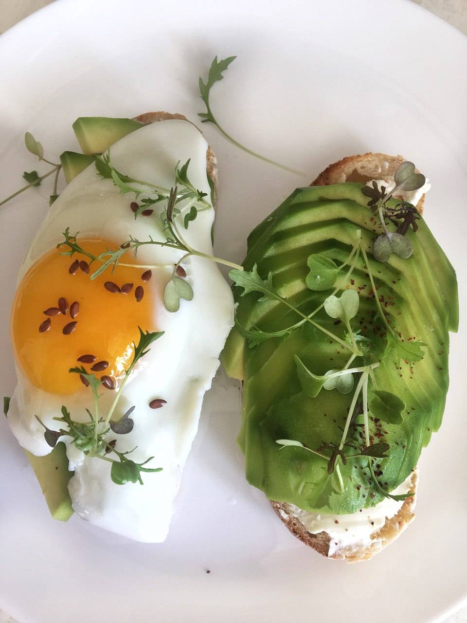 Homemade bread, cream cheese, egg and avocado, decorated with microgreens. Great Breakfast ...
