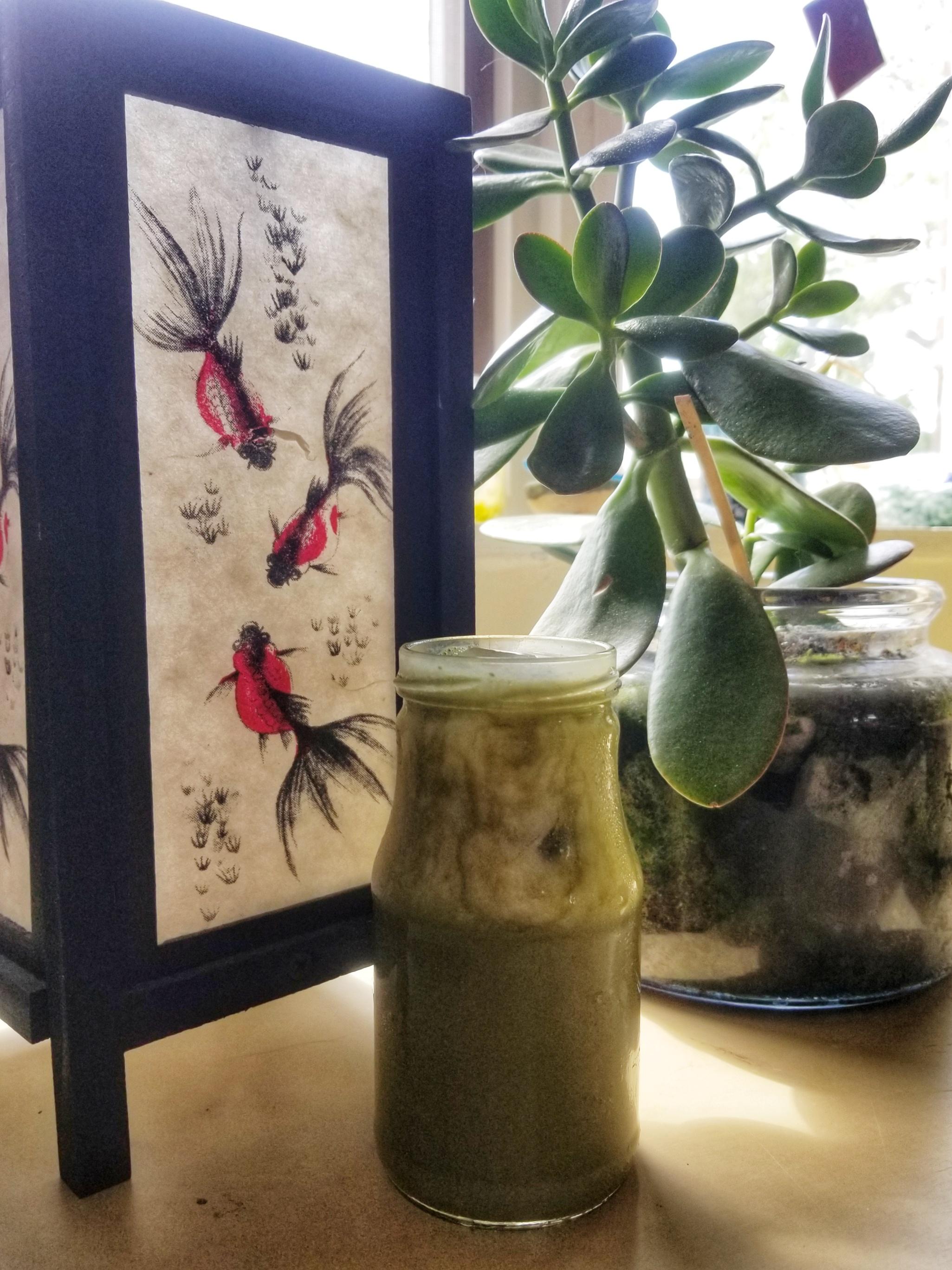 Homemade Iced Matcha Latte | Scrolller