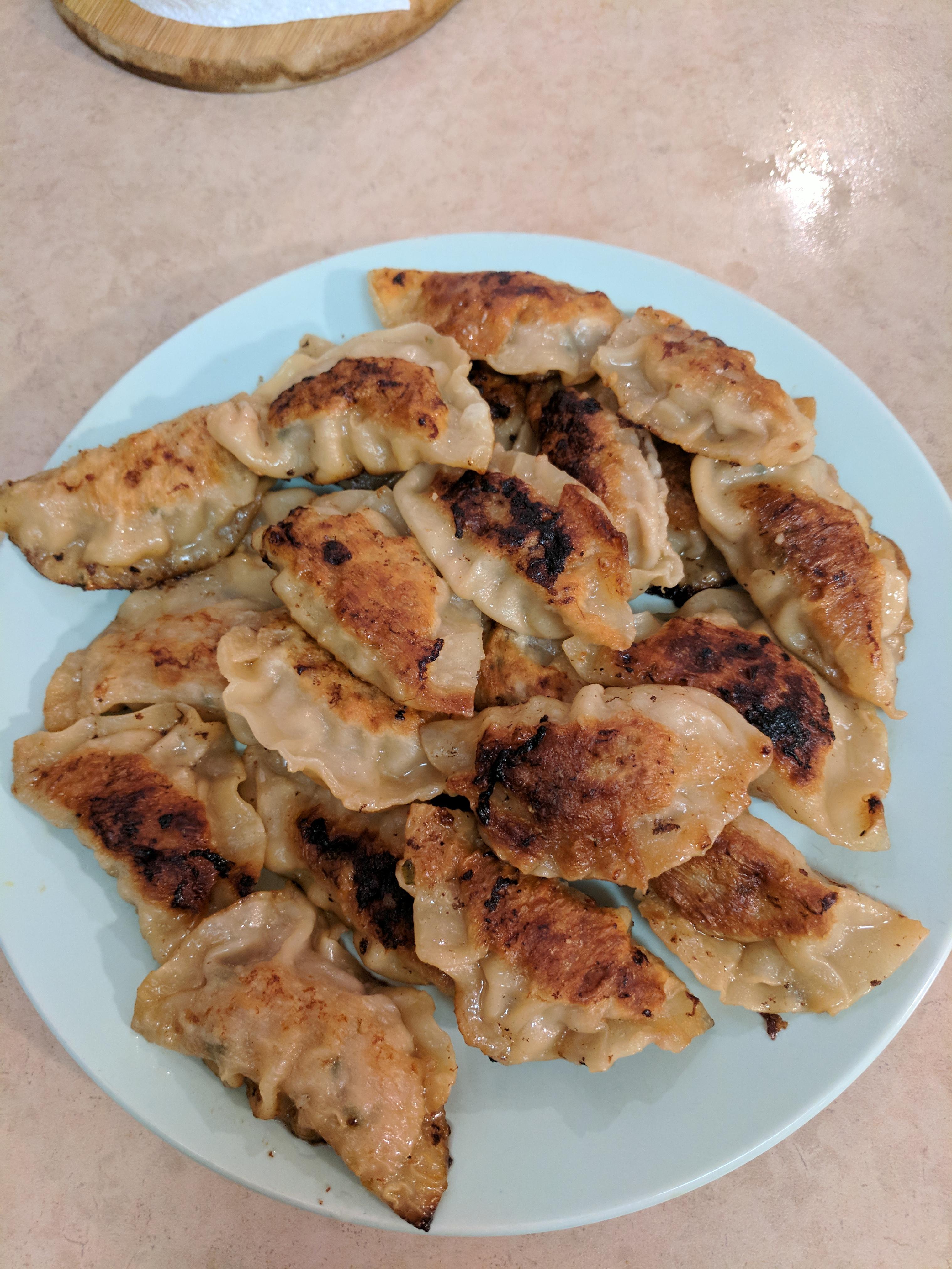 [Homemade] Pan fried dumplings | Scrolller