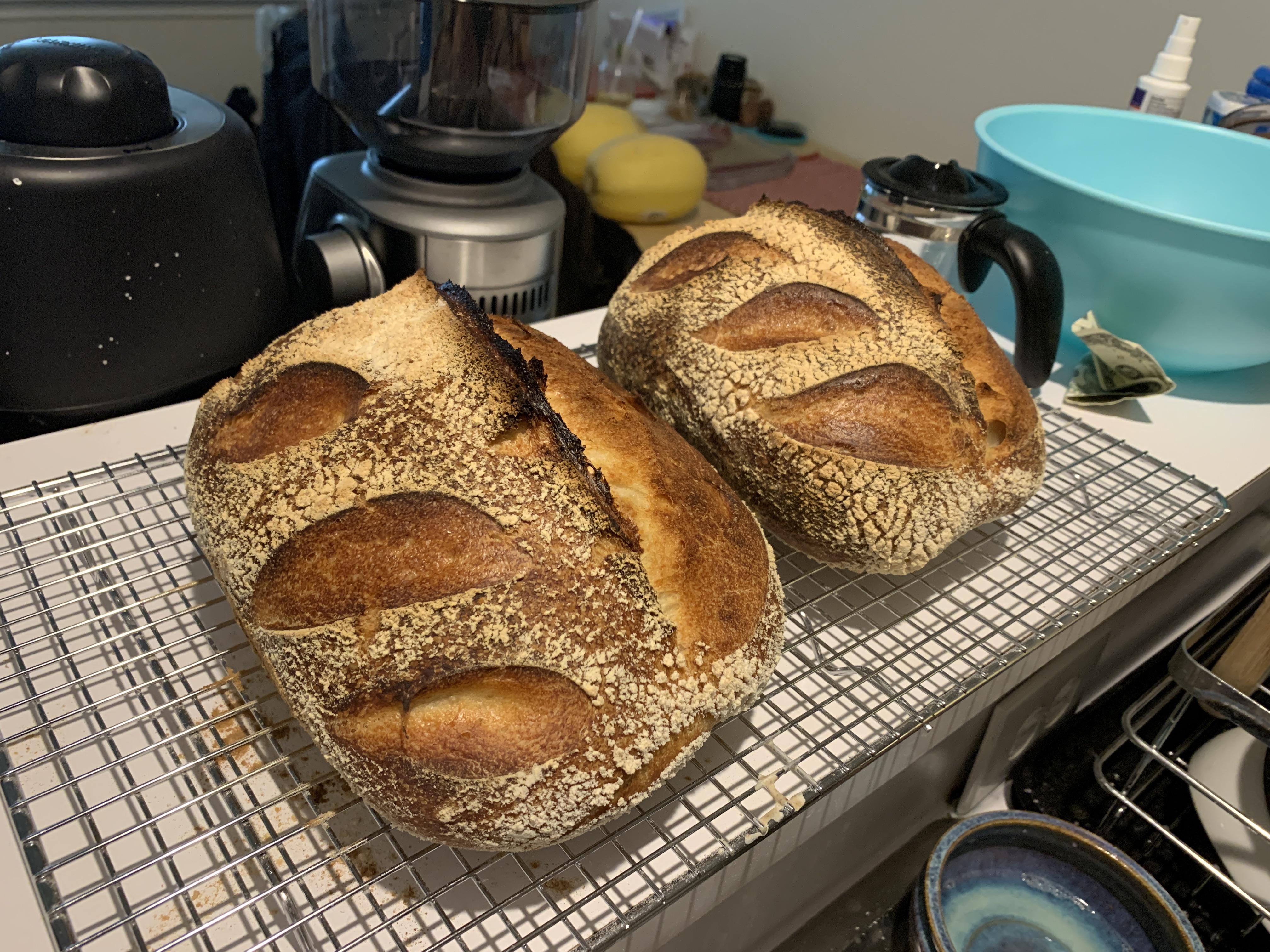 Homemade sourdough bread from a starter - made by my fiancé! | Scrolller