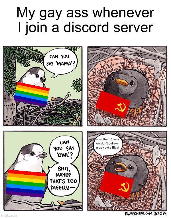 Homophobe go brrrrrrr | Scrolller