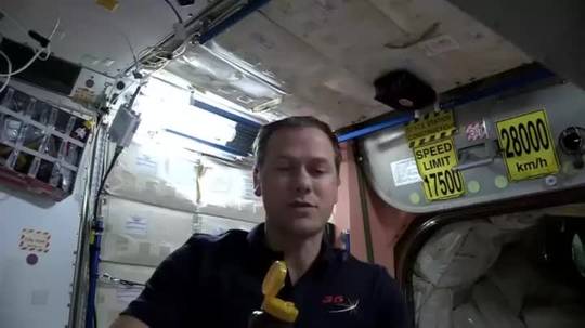 Honey in the International Space Station. | Scrolller