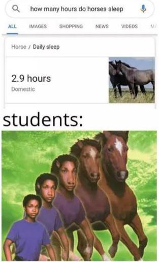 Horse power | Scrolller