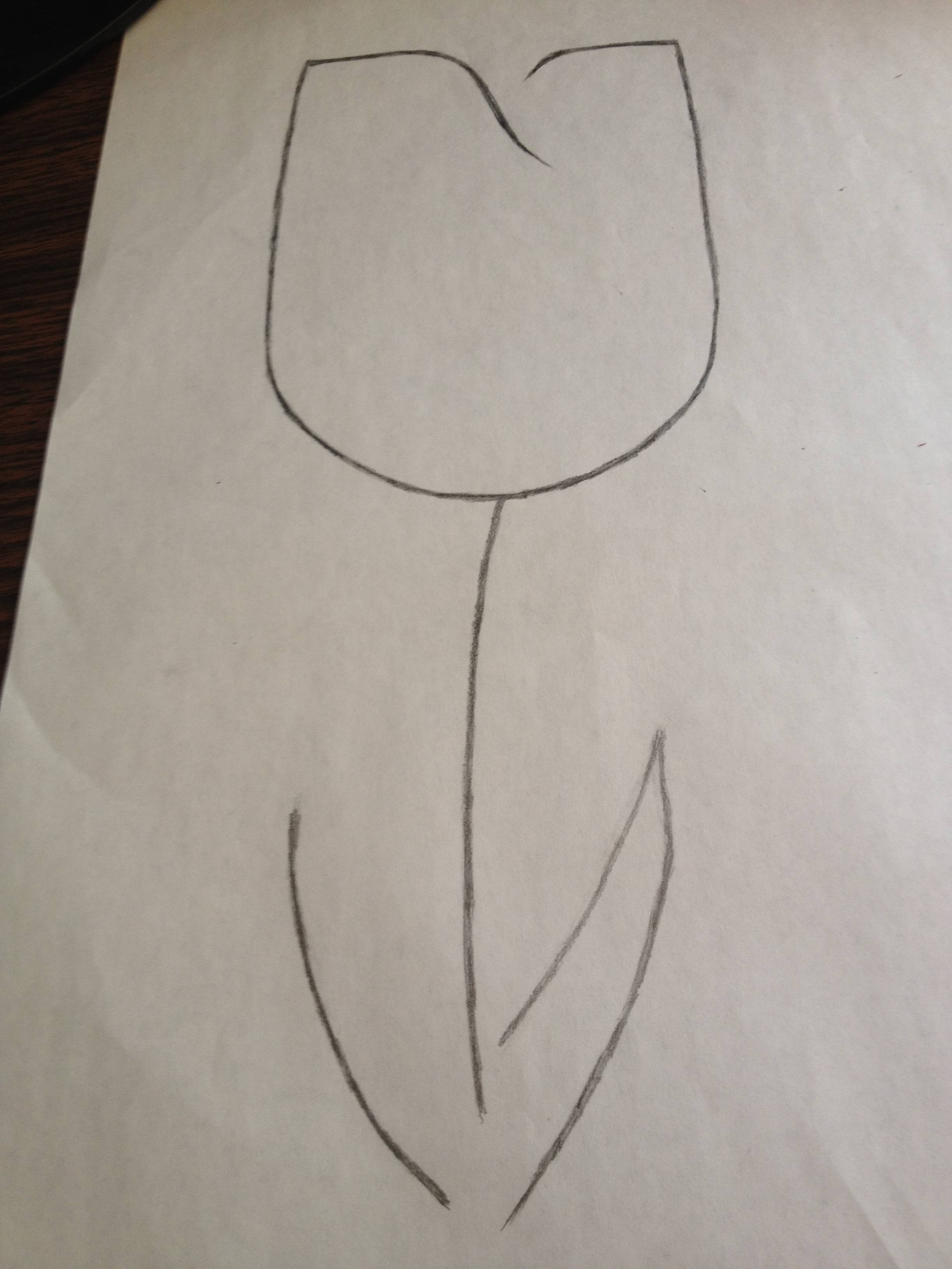 How did I do with my White Tulip? | Scrolller