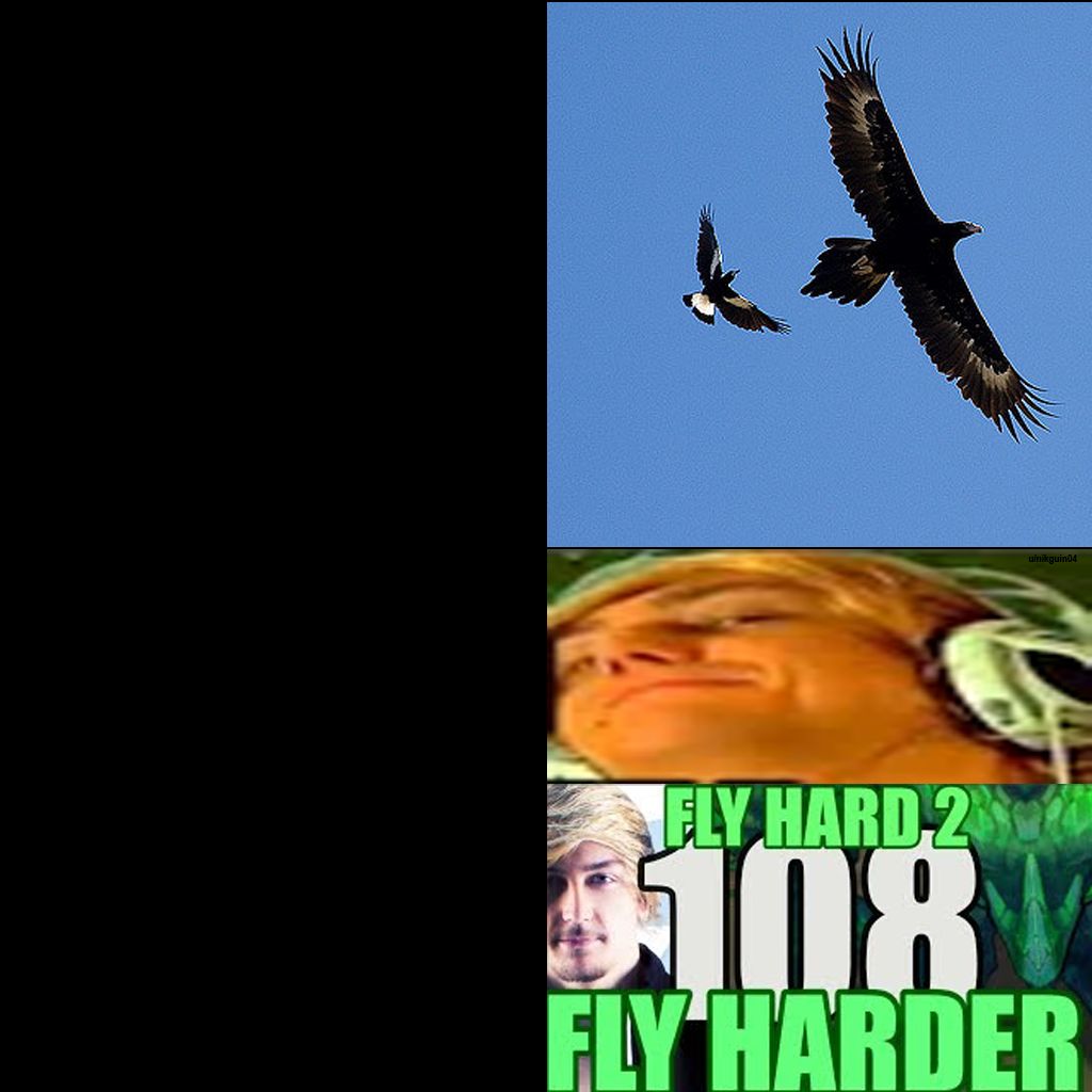 How rocks learned to fly | Scrolller