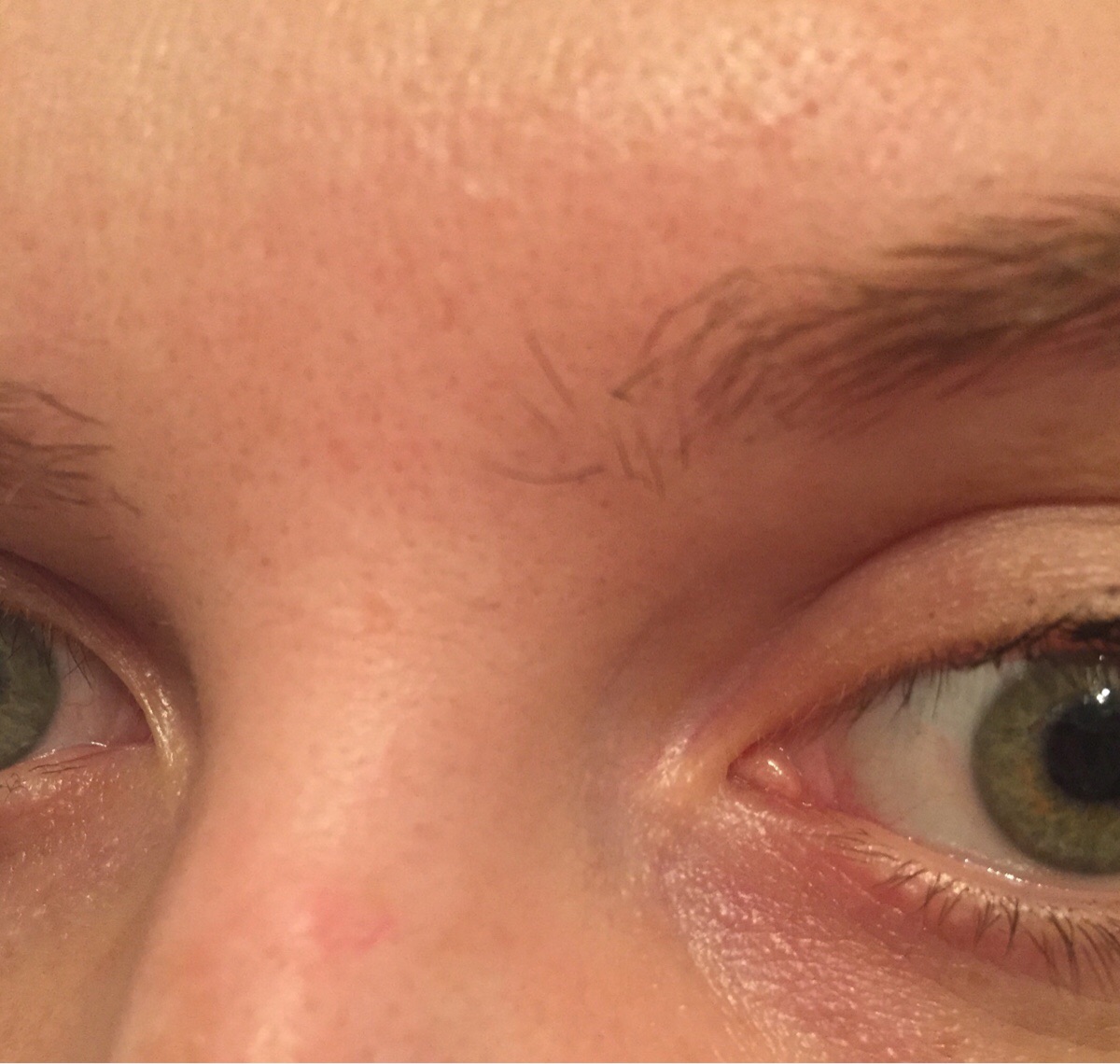 How To Control Weird Eyebrow Hairs Scrolller