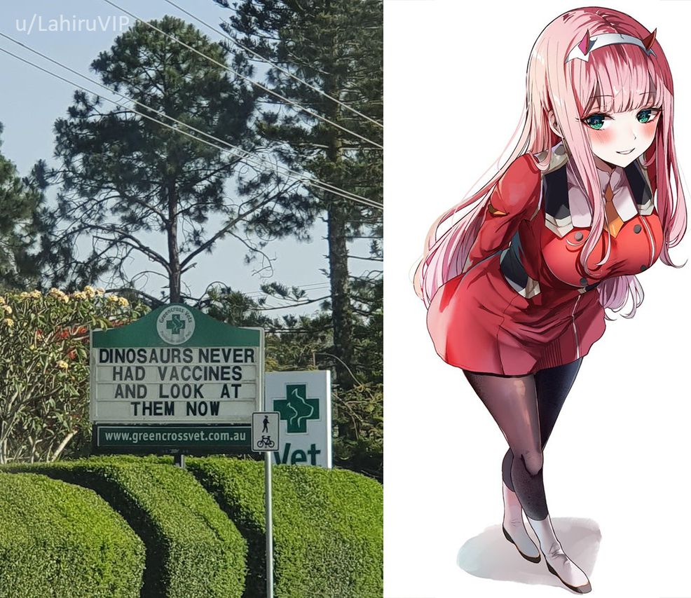 how to create zero two | Scrolller