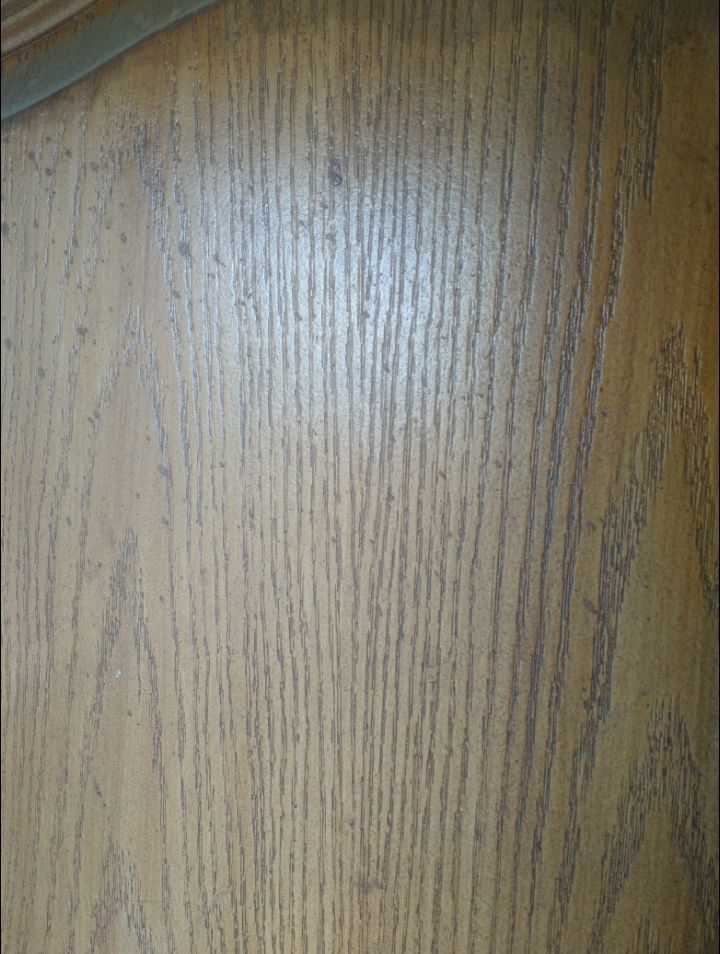 How to safely refinish this door? | Scrolller