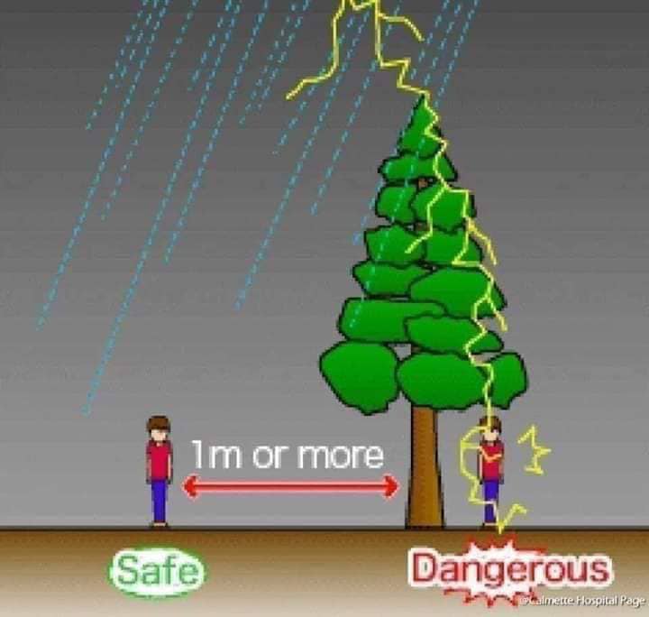 How to survive | Scrolller