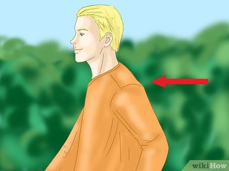 How To Take A Walk Scrolller