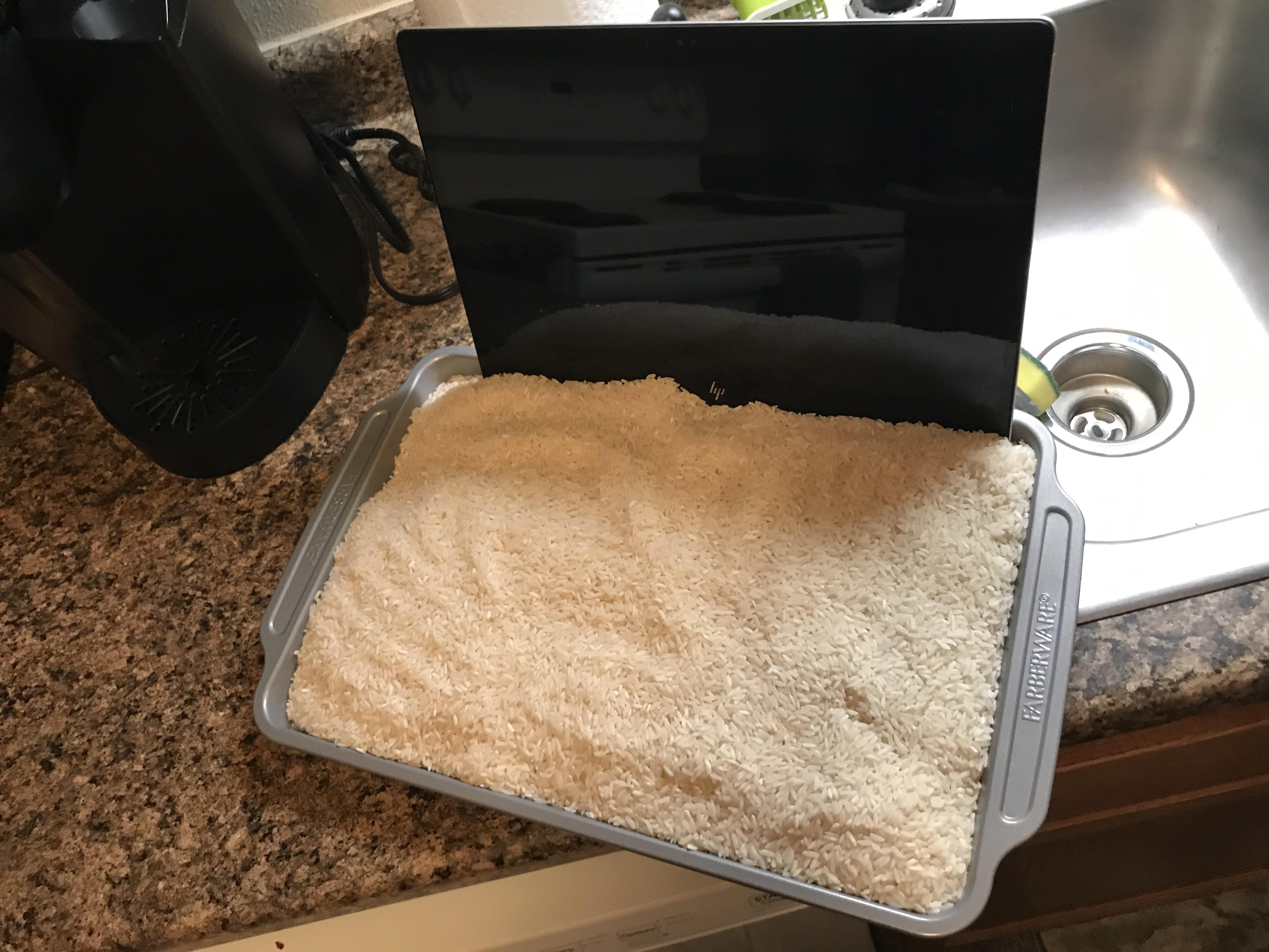 HP Laptop laying in a bed of rice | Scrolller