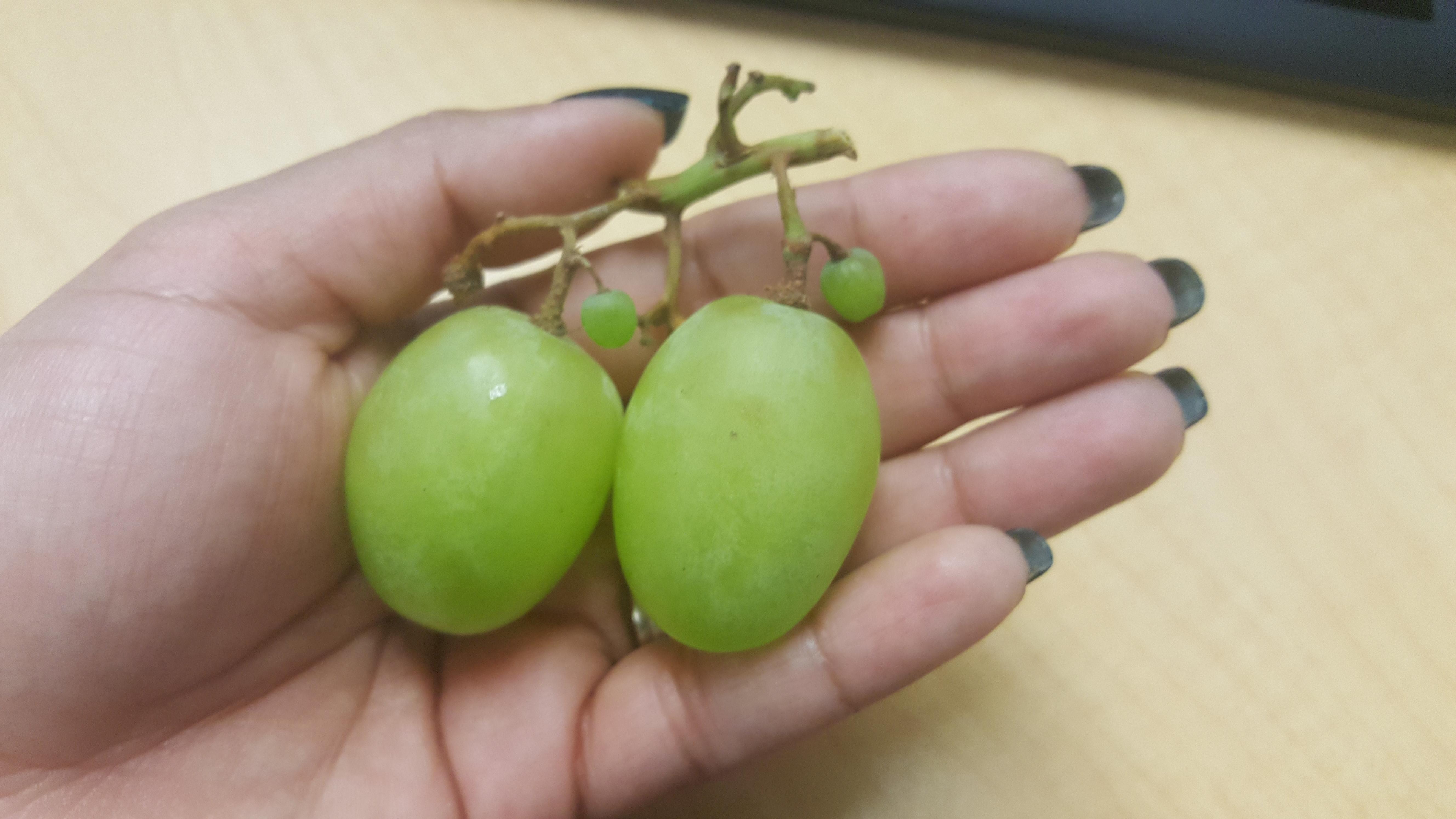 Huge grapes? Or tiny hands? | Scrolller