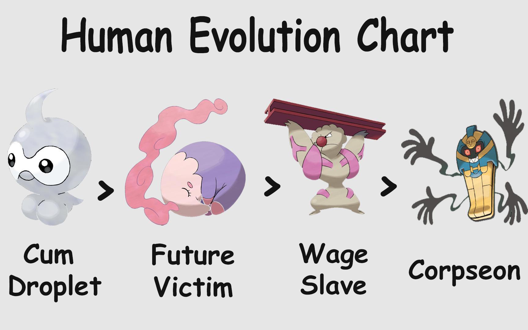 Human Evo Chart Explained in Pokemon | Scrolller
