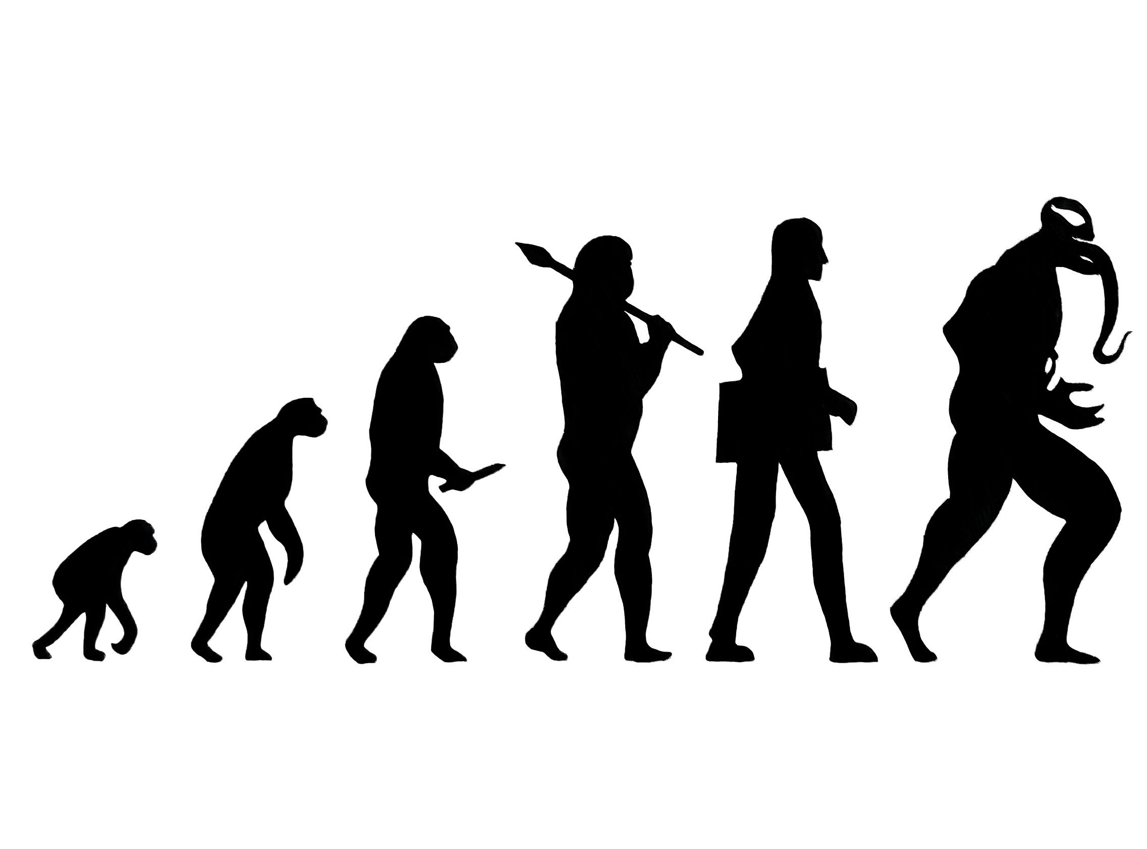 Human Evolution | Scrolller