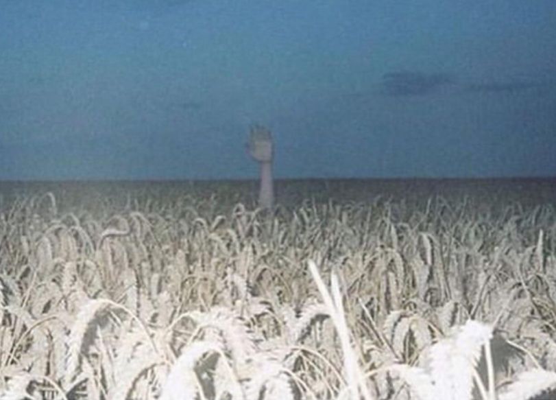 Human hand emerging | Scrolller