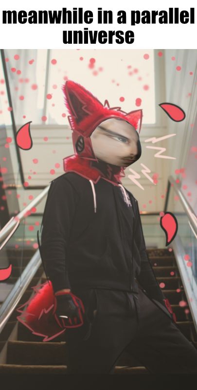 Human_irl | Scrolller