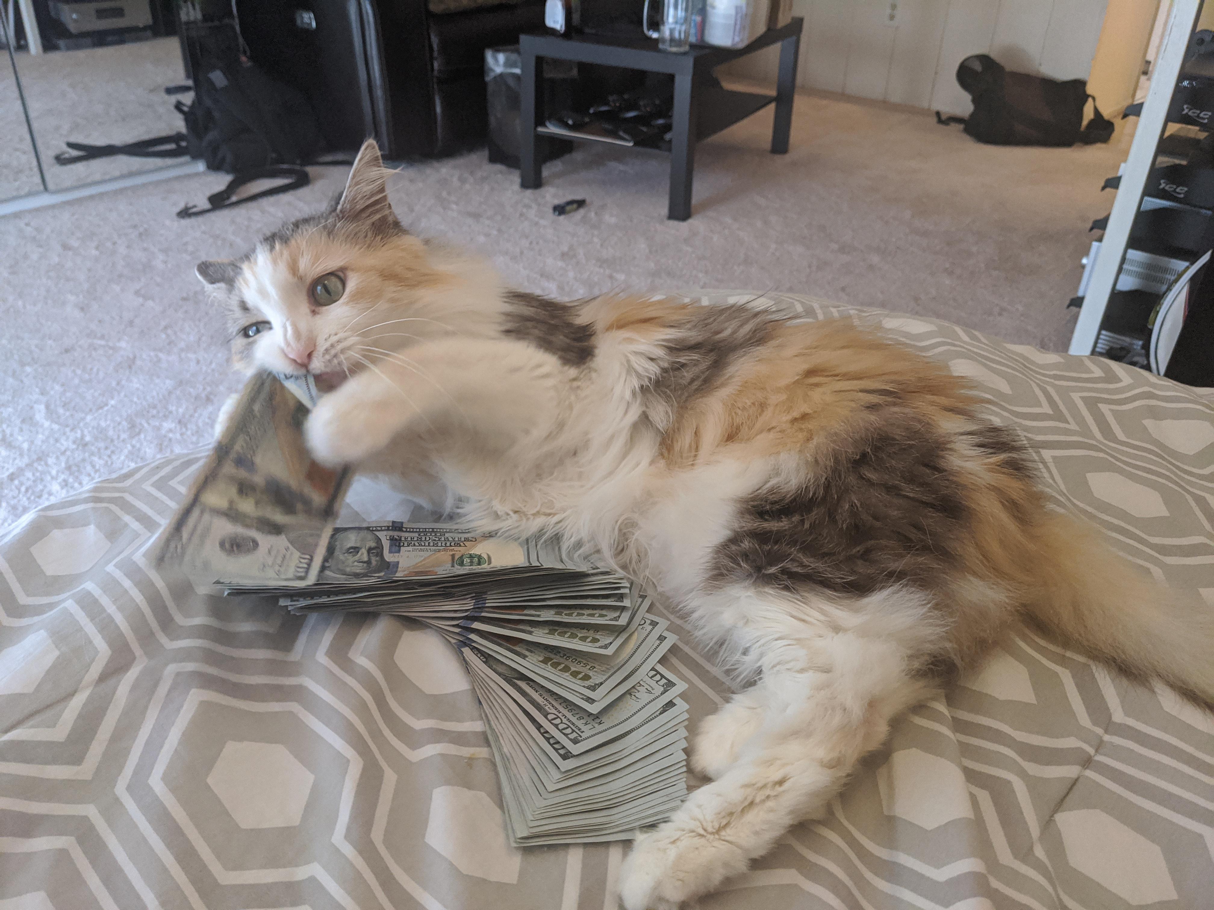 Hungry For That Money Scrolller