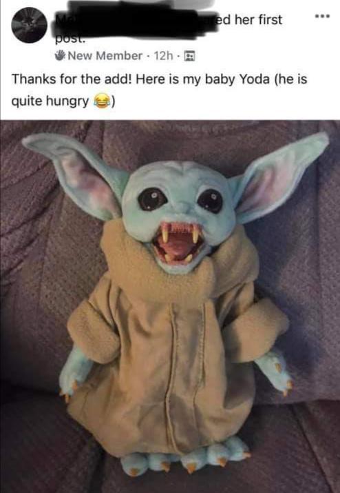 Hungry Yoda | Scrolller