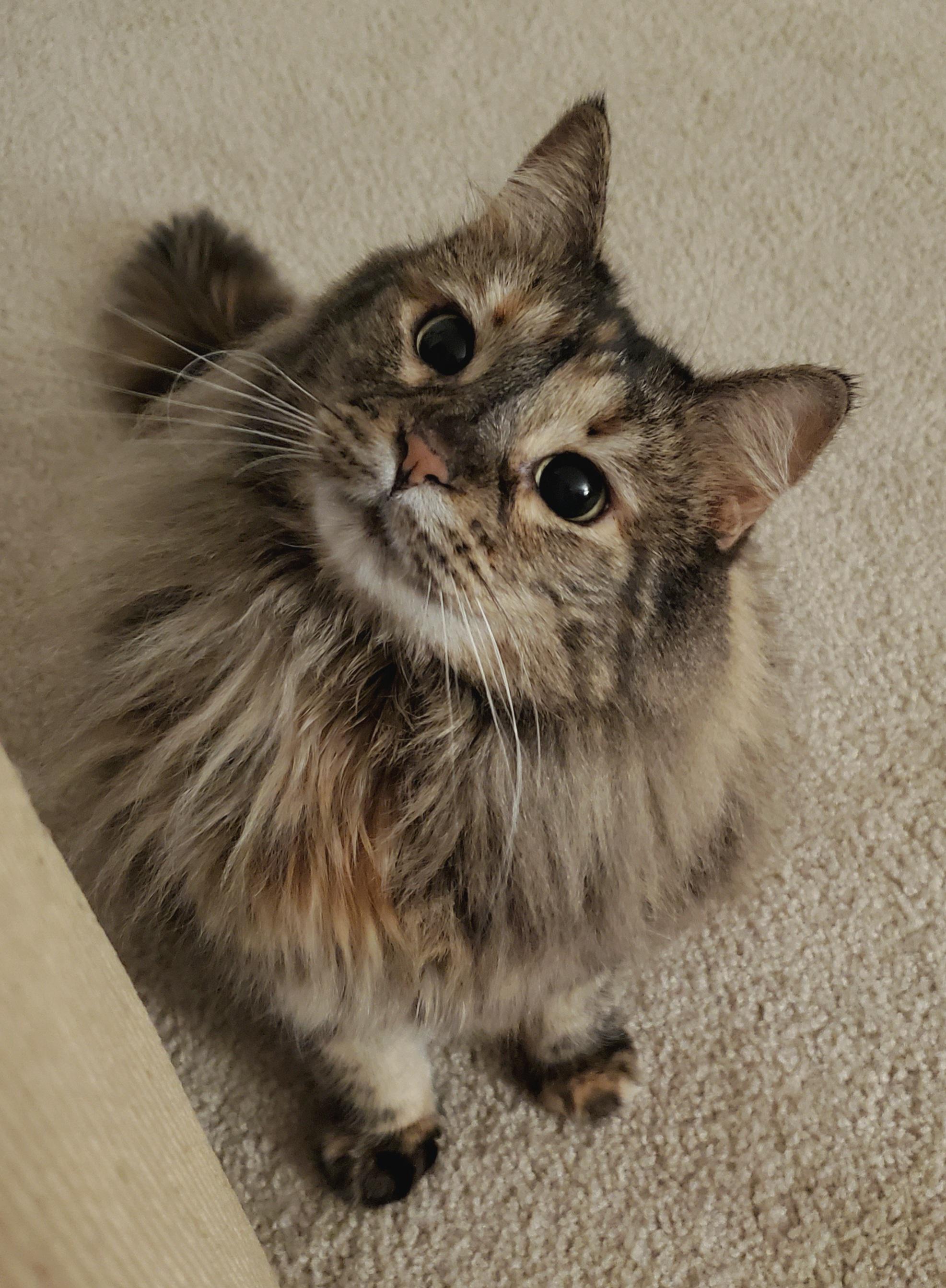 Hunter mode activated | Scrolller