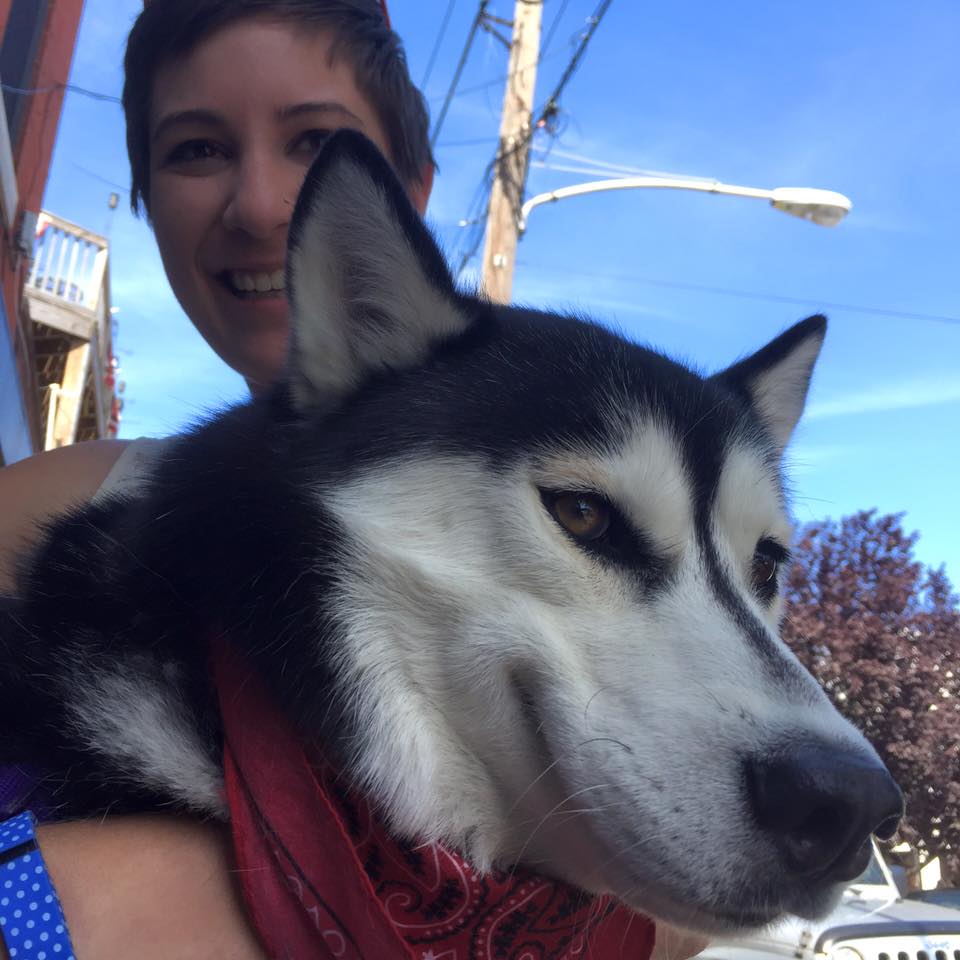 husky with a big smirk | Scrolller