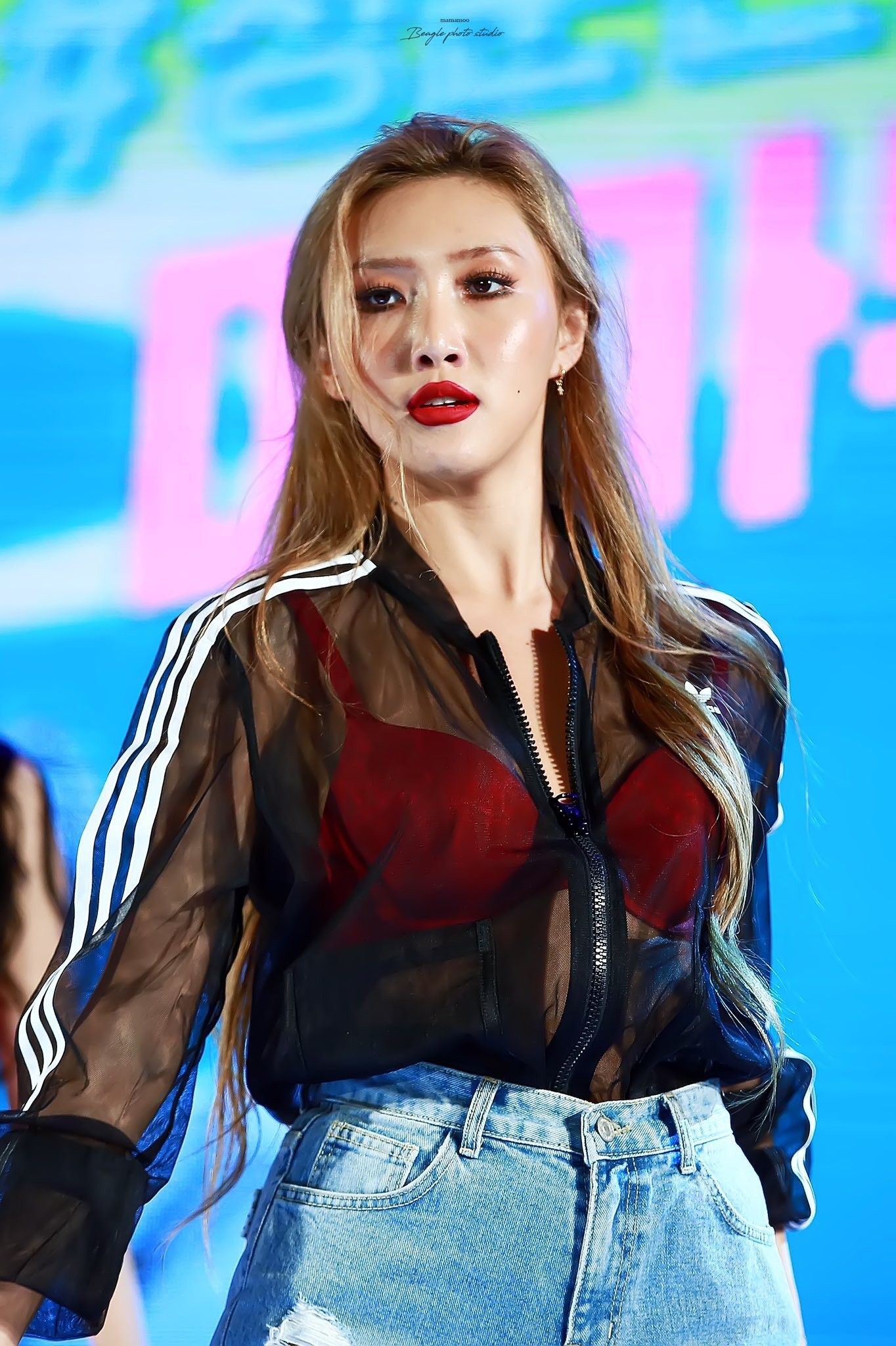 Hwasa | Scrolller