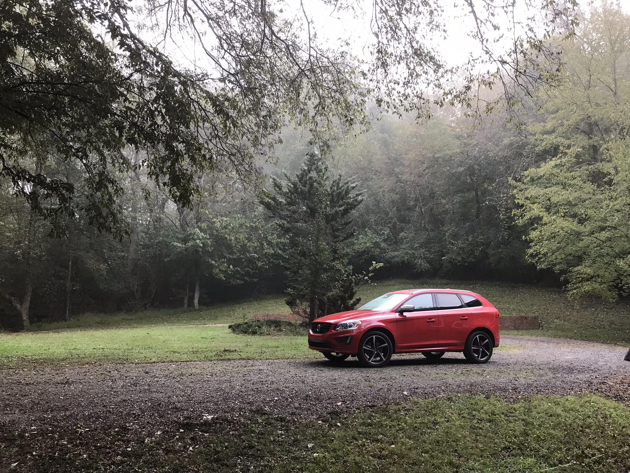 I accidentally made an advertisement in my front yard. | Scrolller